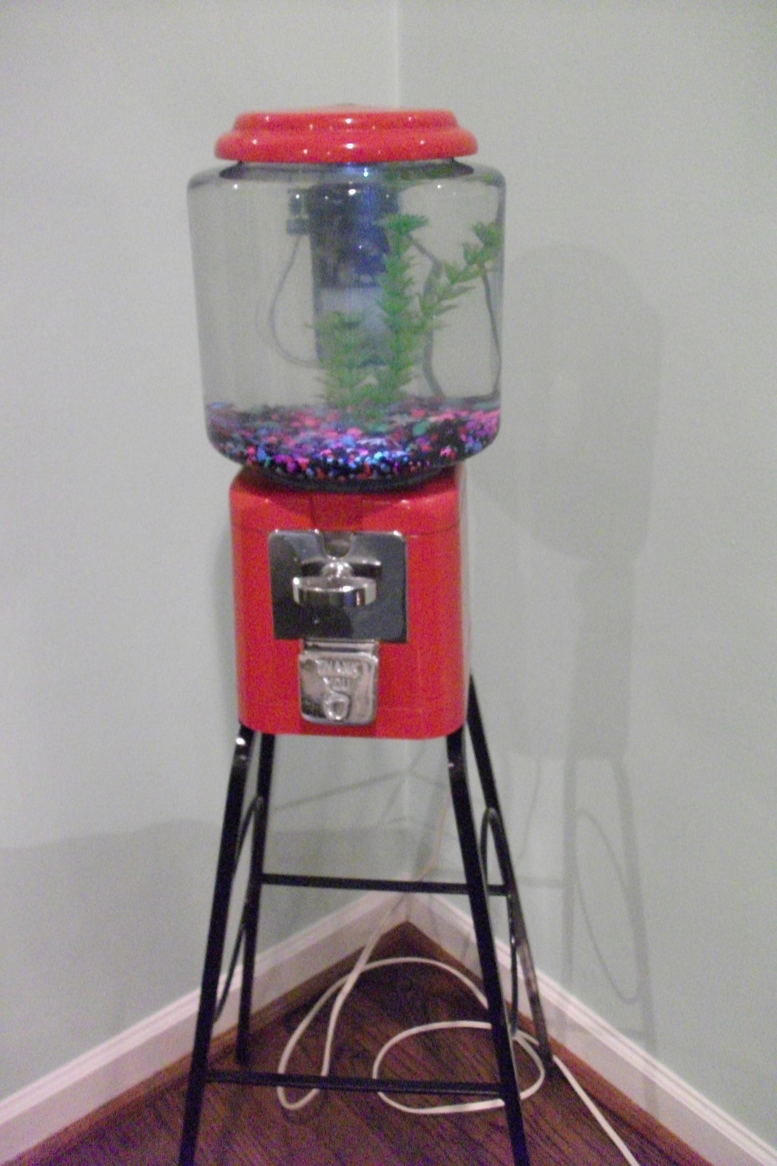Gumball Machine Fish Tank : 9 Steps (with Pictures) - Instructables