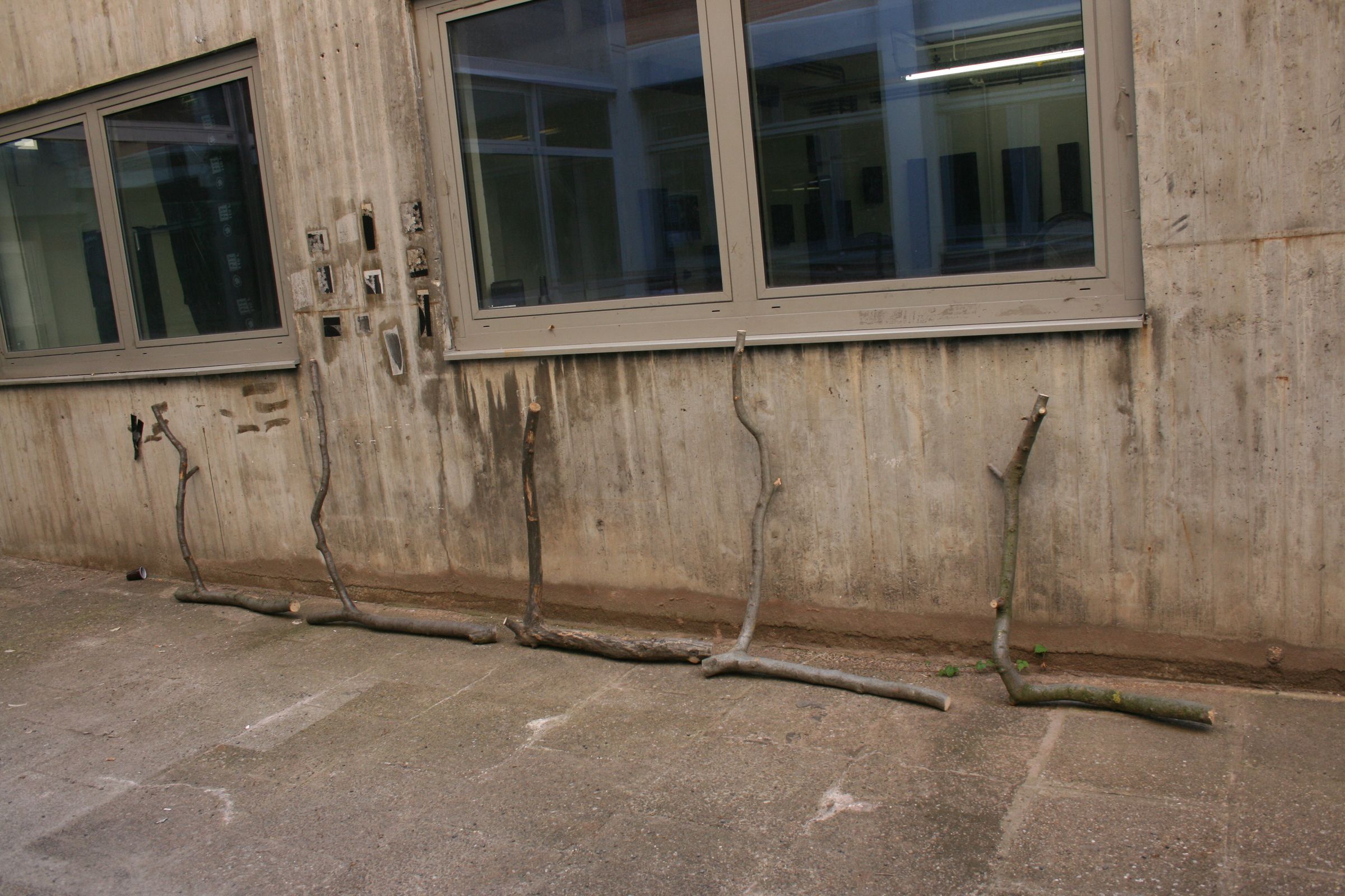 BRANCHBOARDING / TREE OF MOTION : 7 Steps (with Pictures) - Instructables