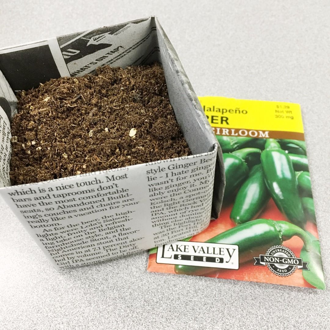Biodegradable Newspaper Pots : 7 Steps (with Pictures) - Instructables