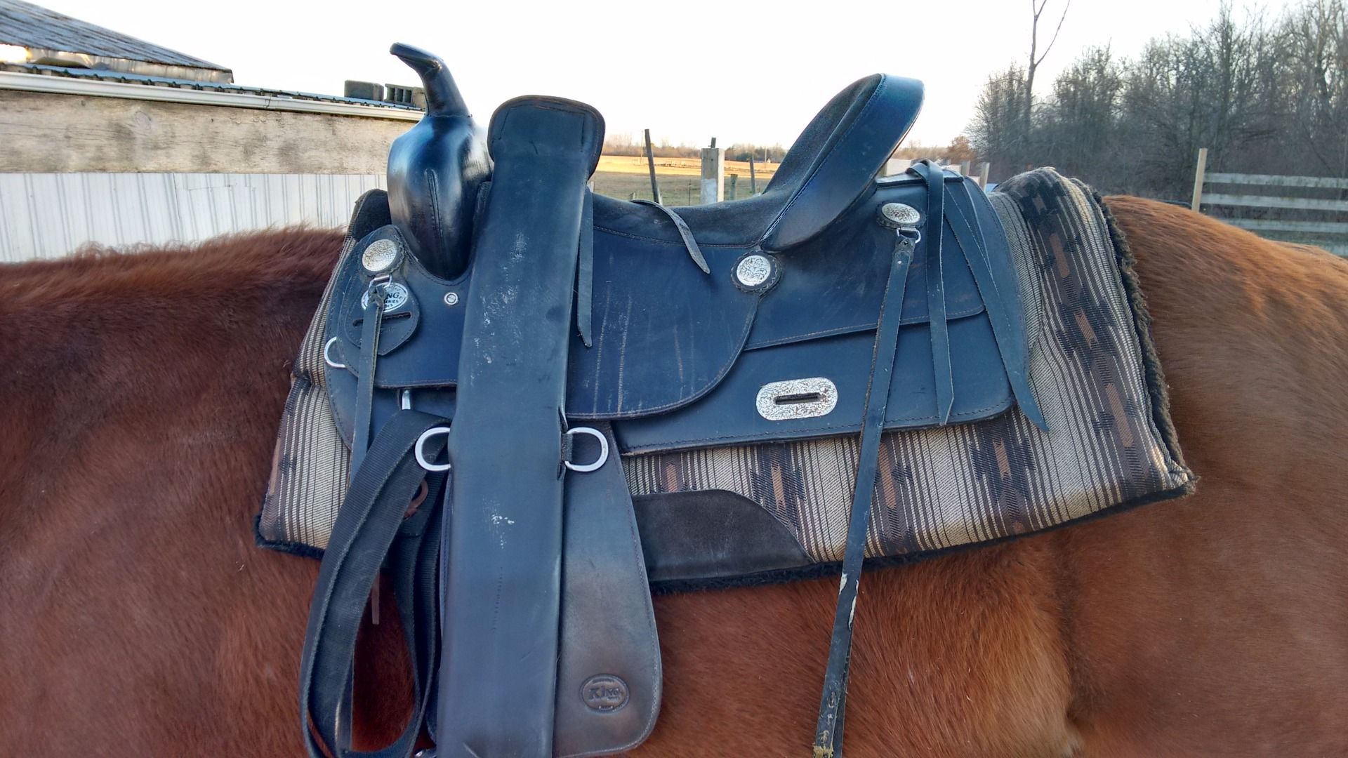 Tacking a Horse : 6 Steps (with Pictures) - Instructables