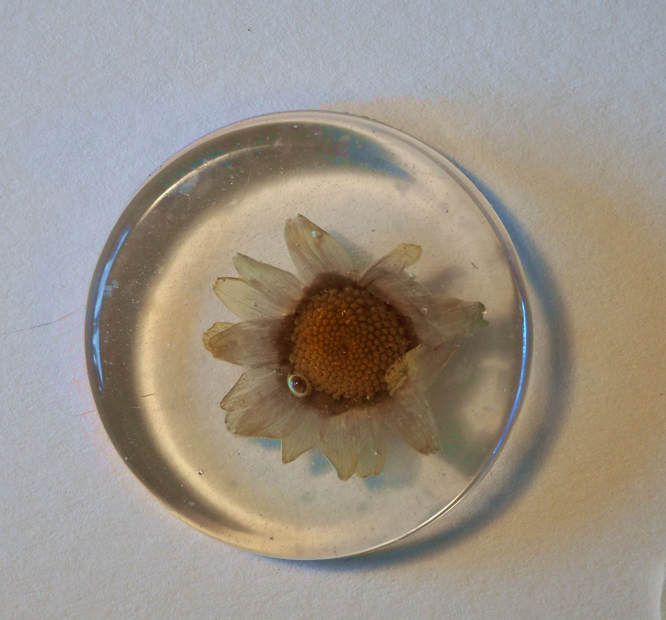 Techniques to Embed Flowers in Resin : 12 Steps (with Pictures ...