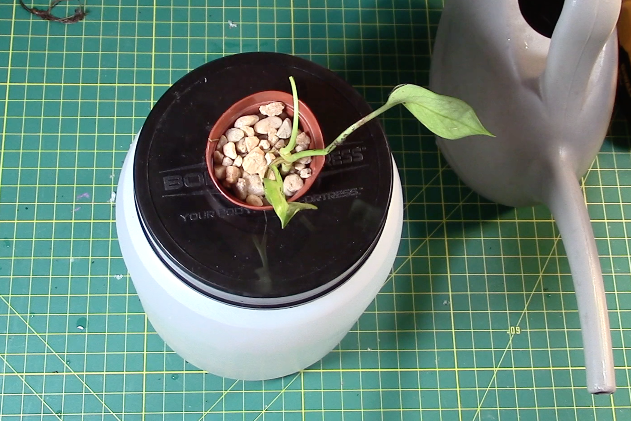 Kratky Method Hydroponics Tutorial : 3 Steps - Instructables