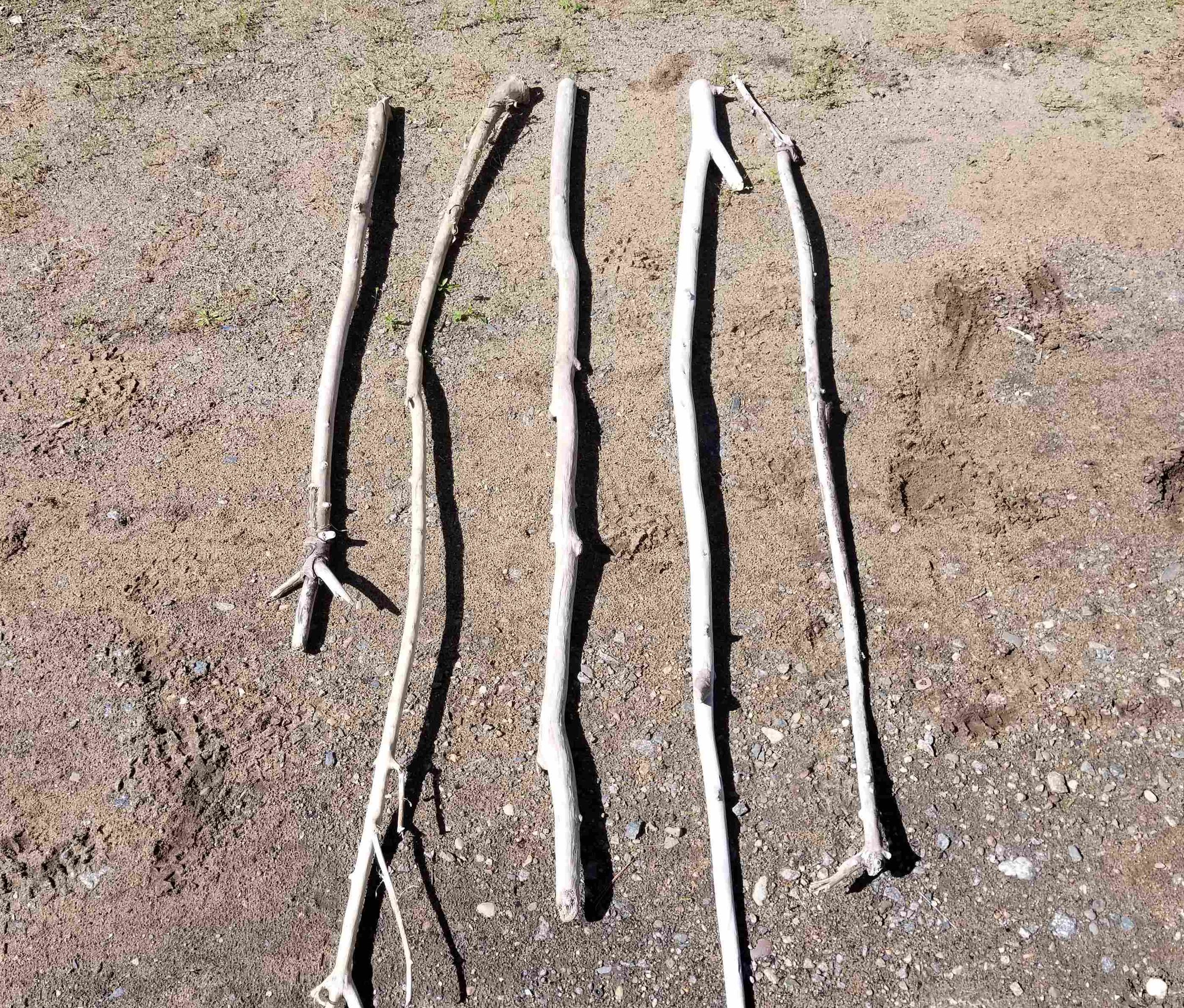 Shillelagh | Walking Stick : 6 Steps (with Pictures) - Instructables