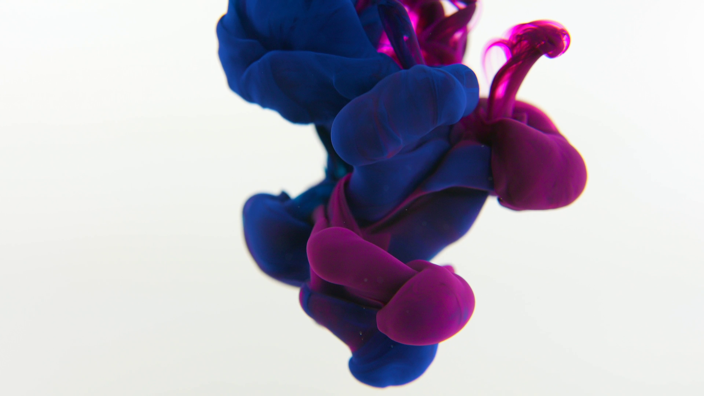 DIY "INK in WATER" Photography : 8 Steps (with Pictures) - Instructables