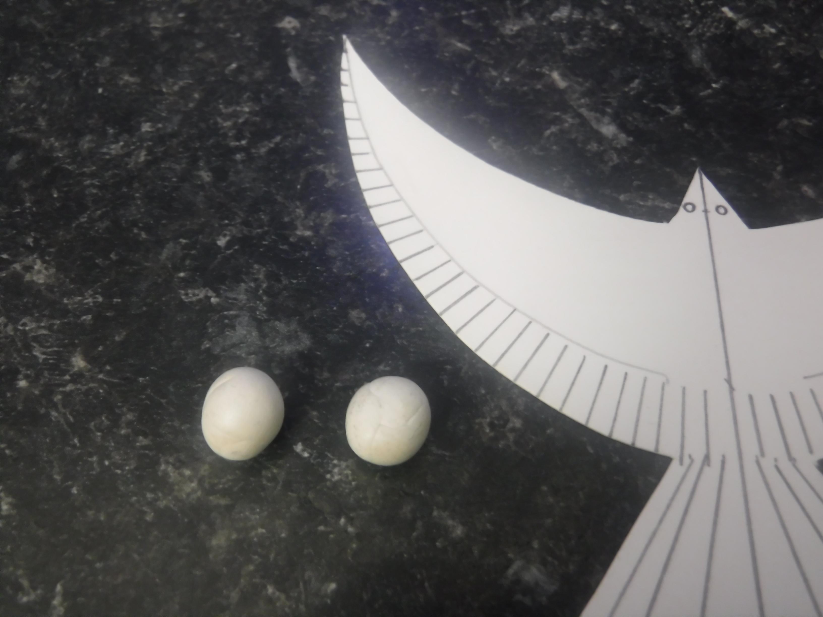 Balance Bird : 6 Steps (with Pictures) - Instructables