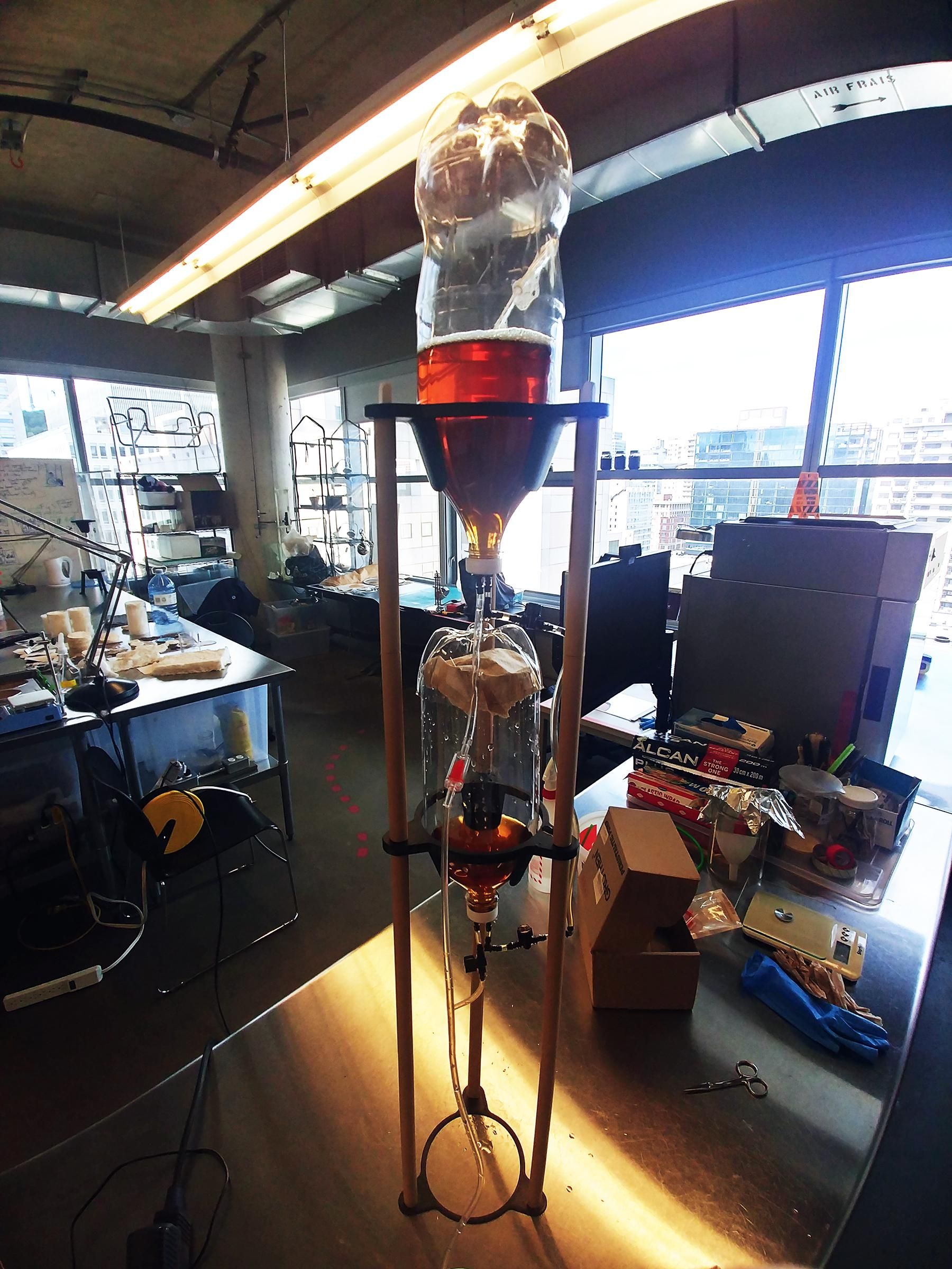 DIY Kombucha - Bacterial Cellulose Fermentor : 19 Steps (with Pictures ...
