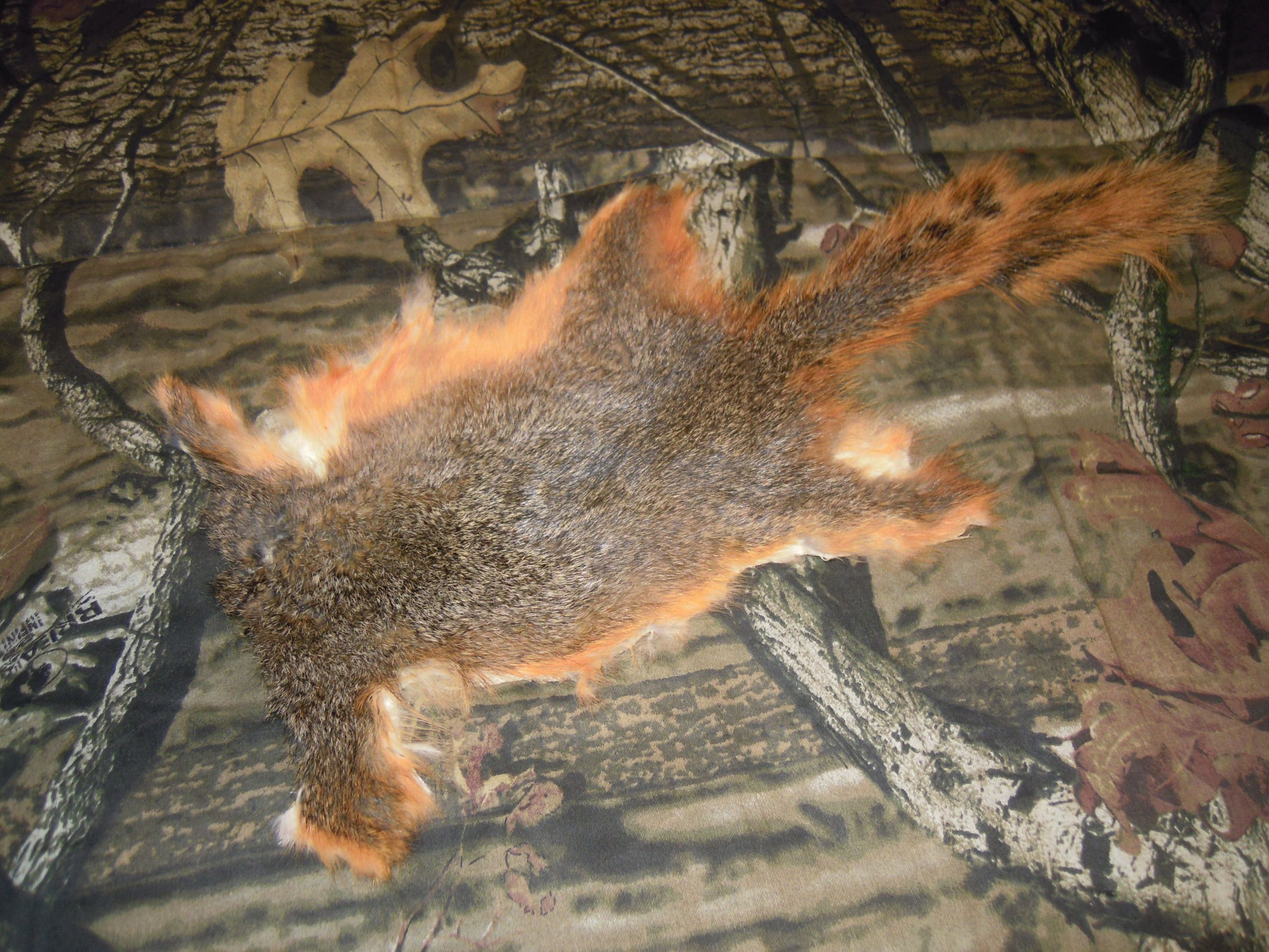 Roadkill Huntin' : 4 Steps - Instructables