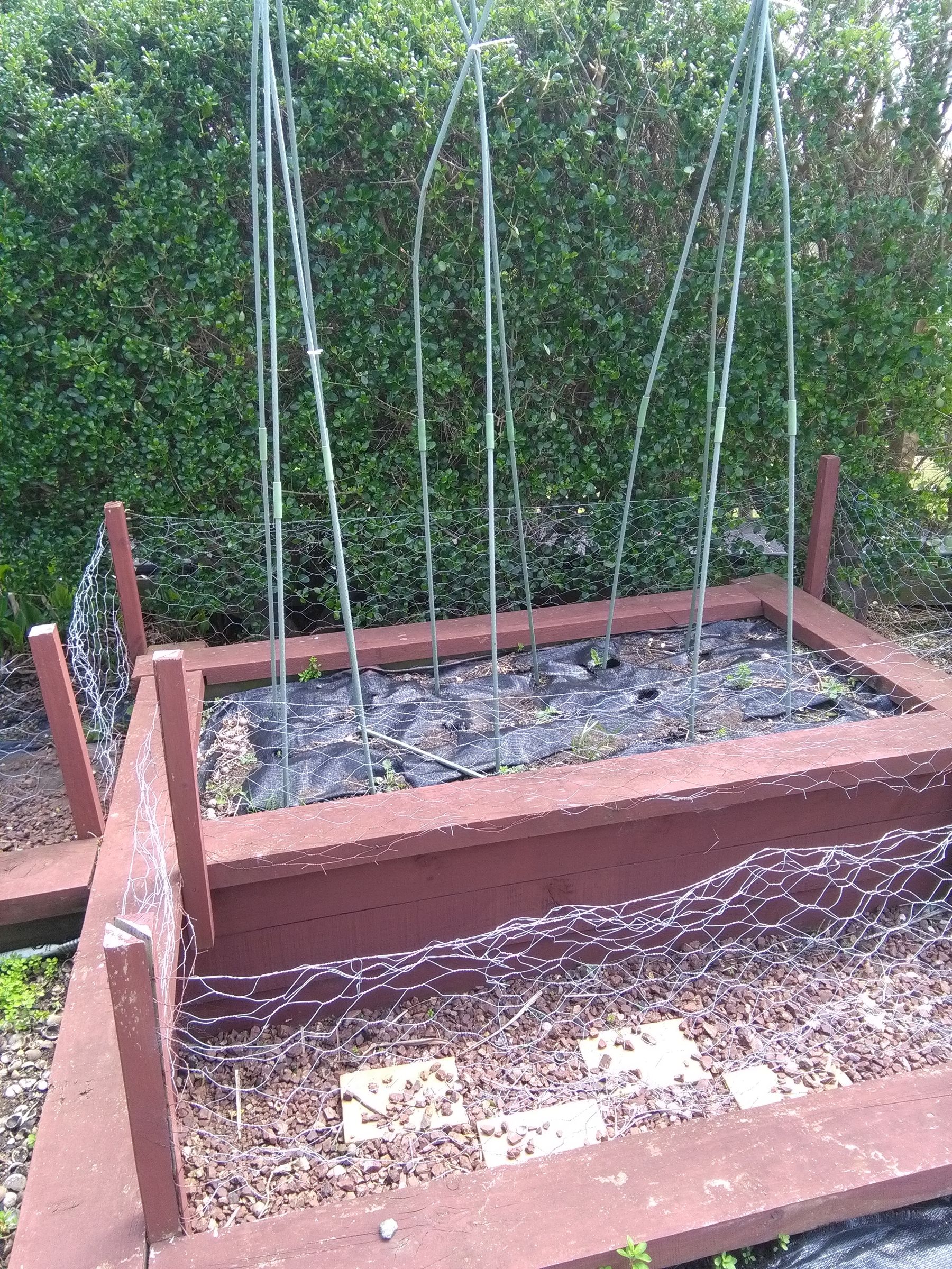 Vegetable Support or Trellis (or Obelisk!) What Would I Know! : 5 Steps ...