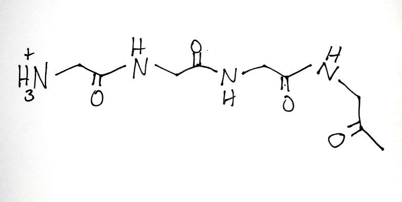 How to Draw Peptide Chains : 18 Steps (with Pictures) - Instructables