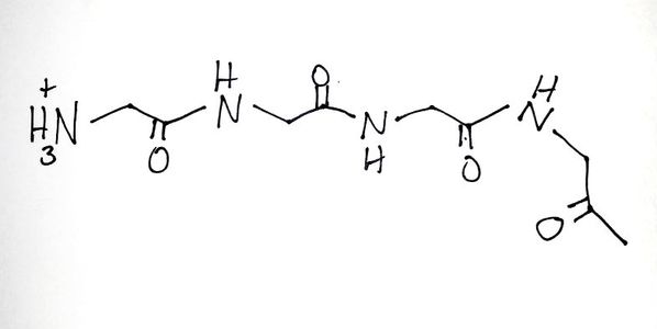 How to Draw Peptide Chains : 18 Steps (with Pictures) - Instructables