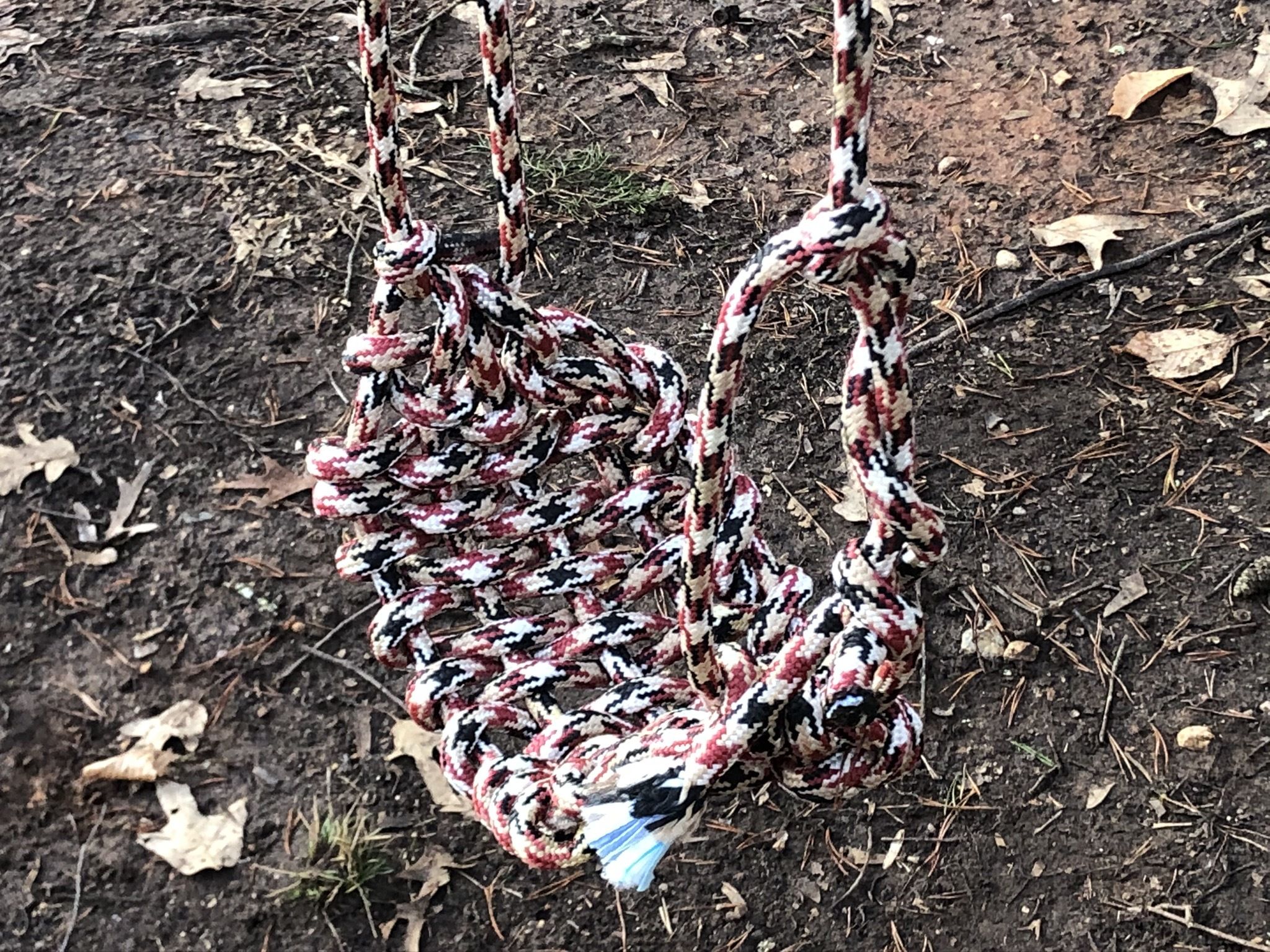 Rope Swing : 6 Steps - Instructables