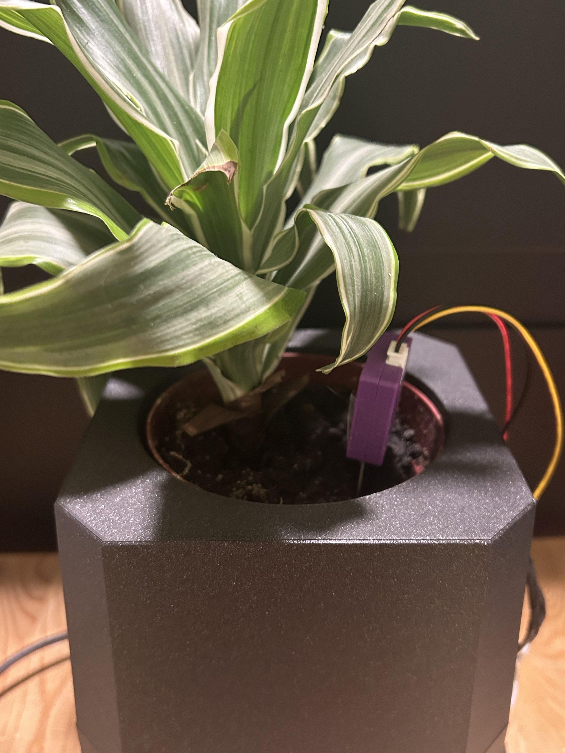 The Pet Pot : 8 Steps (with Pictures) - Instructables