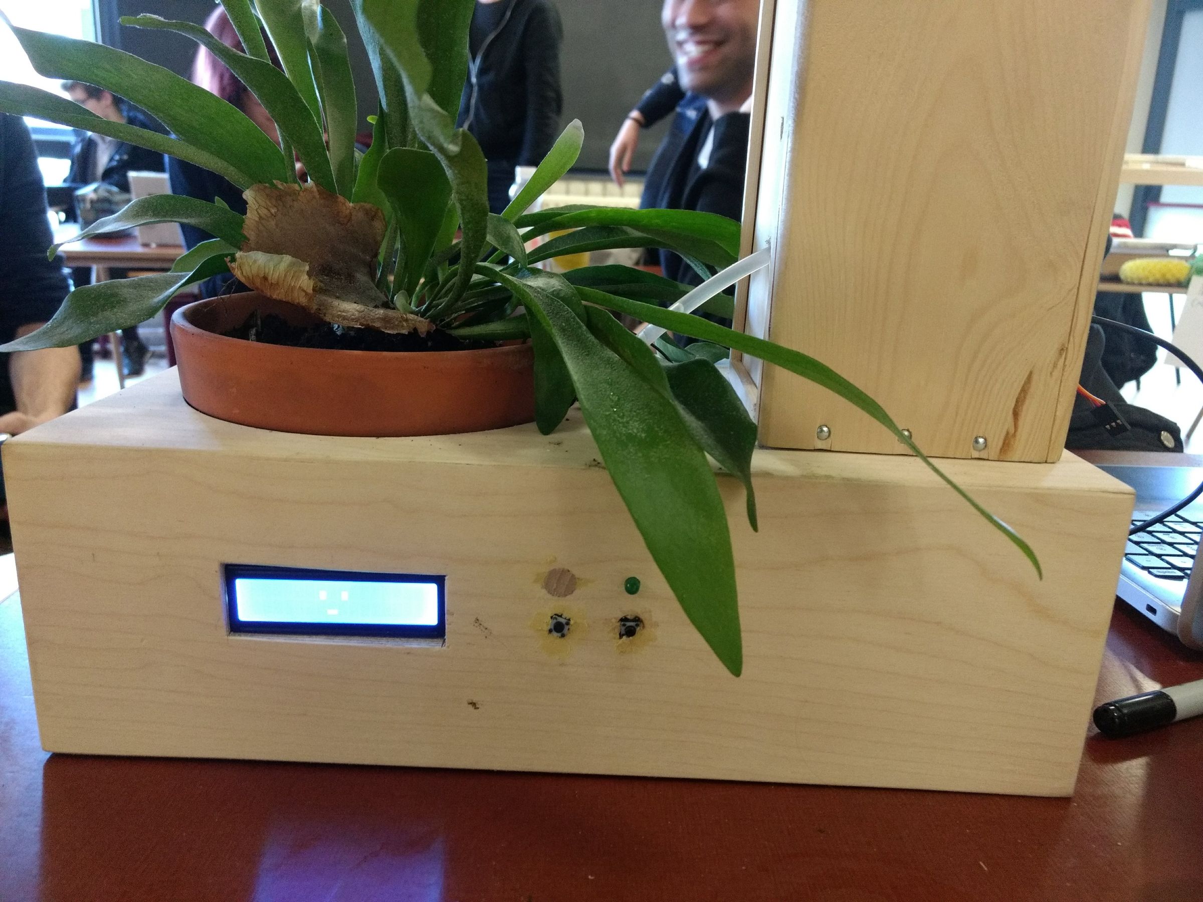 Watering Your Plant Using an Arduino : 5 Steps (with Pictures ...