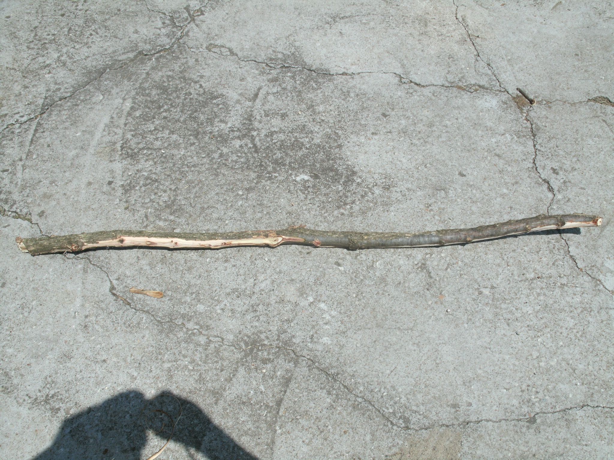 Easy Made Walking Stick : 3 Steps - Instructables