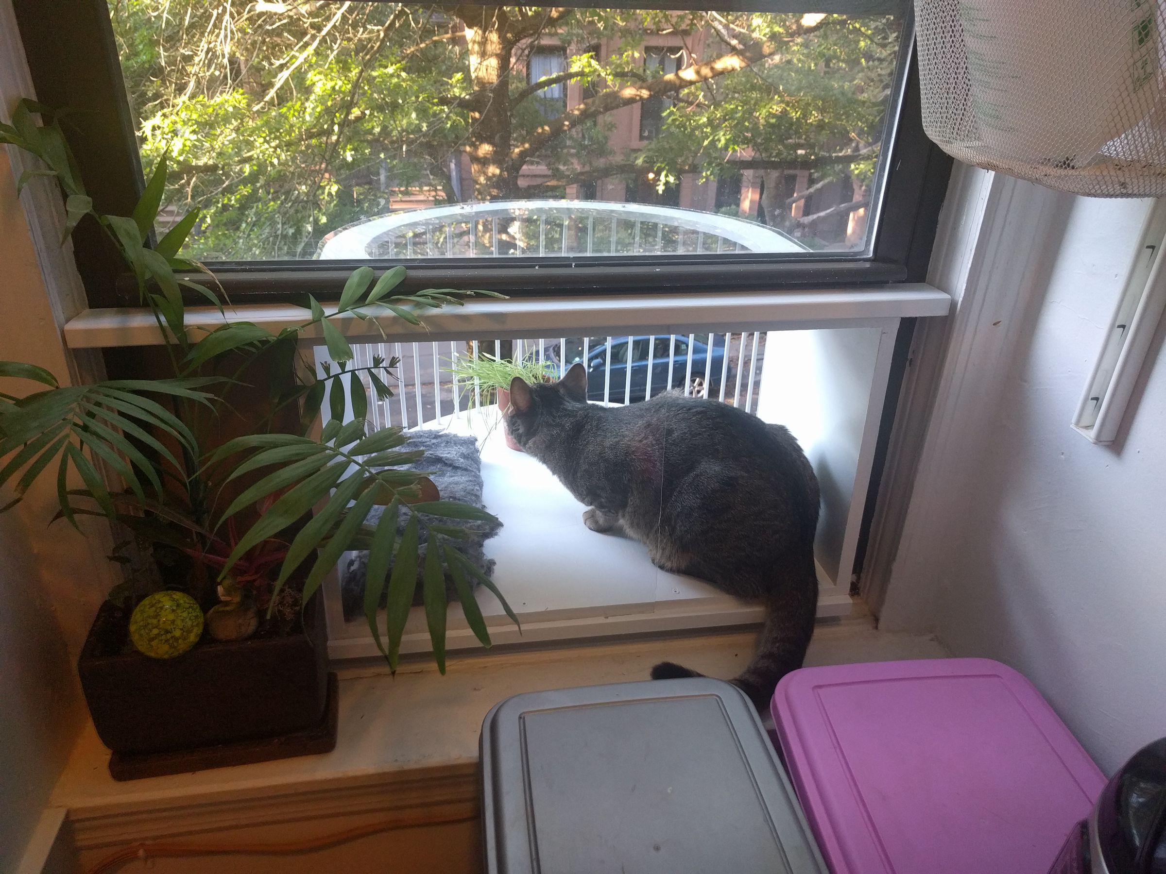 Window Catio (Cat Patio) : 12 Steps (with Pictures) - Instructables