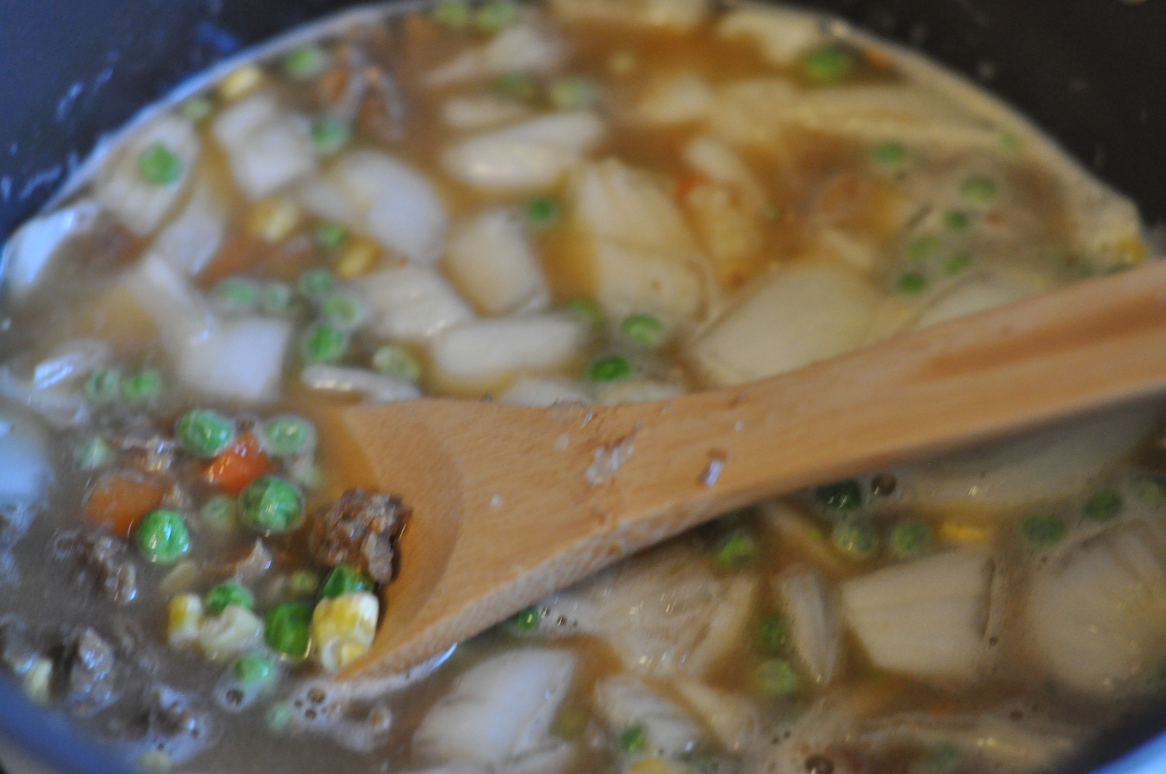 Foods of Fallout: Cook-Cook's Fiend Stew - Instructables