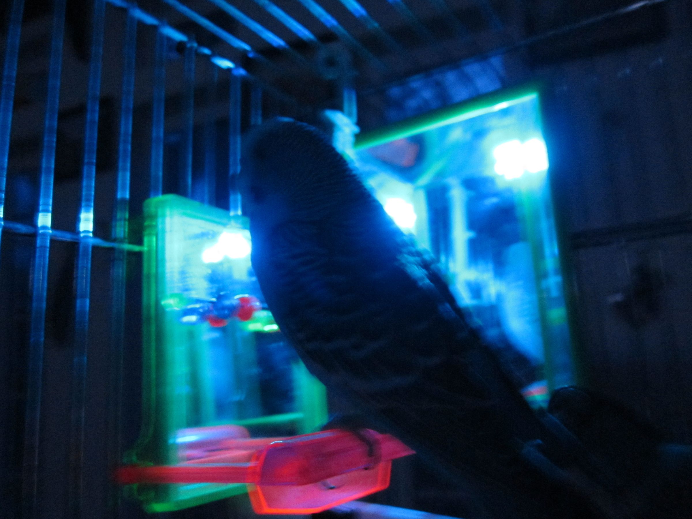 LED Color Changing Bird Toy! : 8 Steps - Instructables