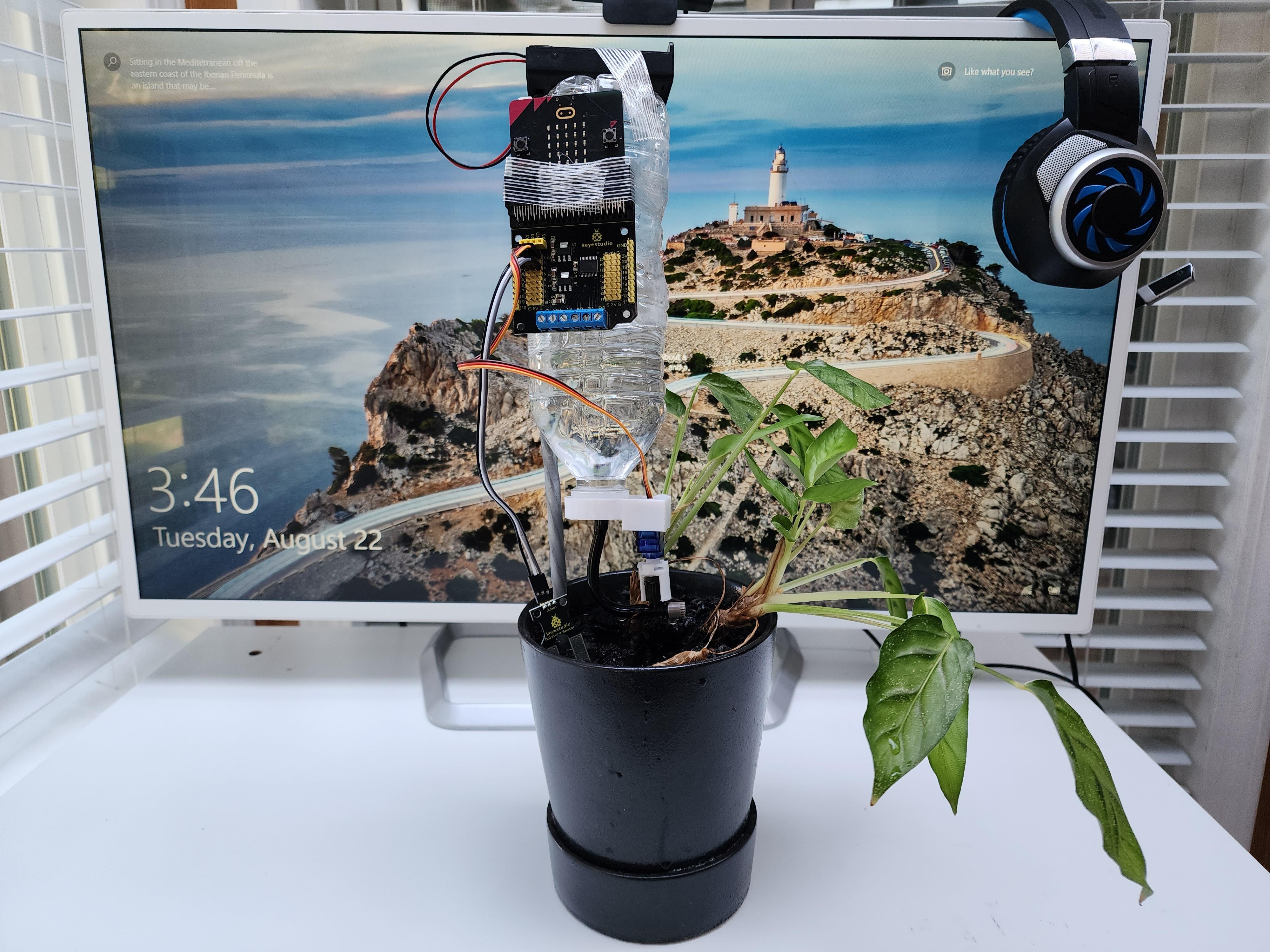 Use Plastic Bottle to Make Automatic Plant Watering System. : 8 Steps ...