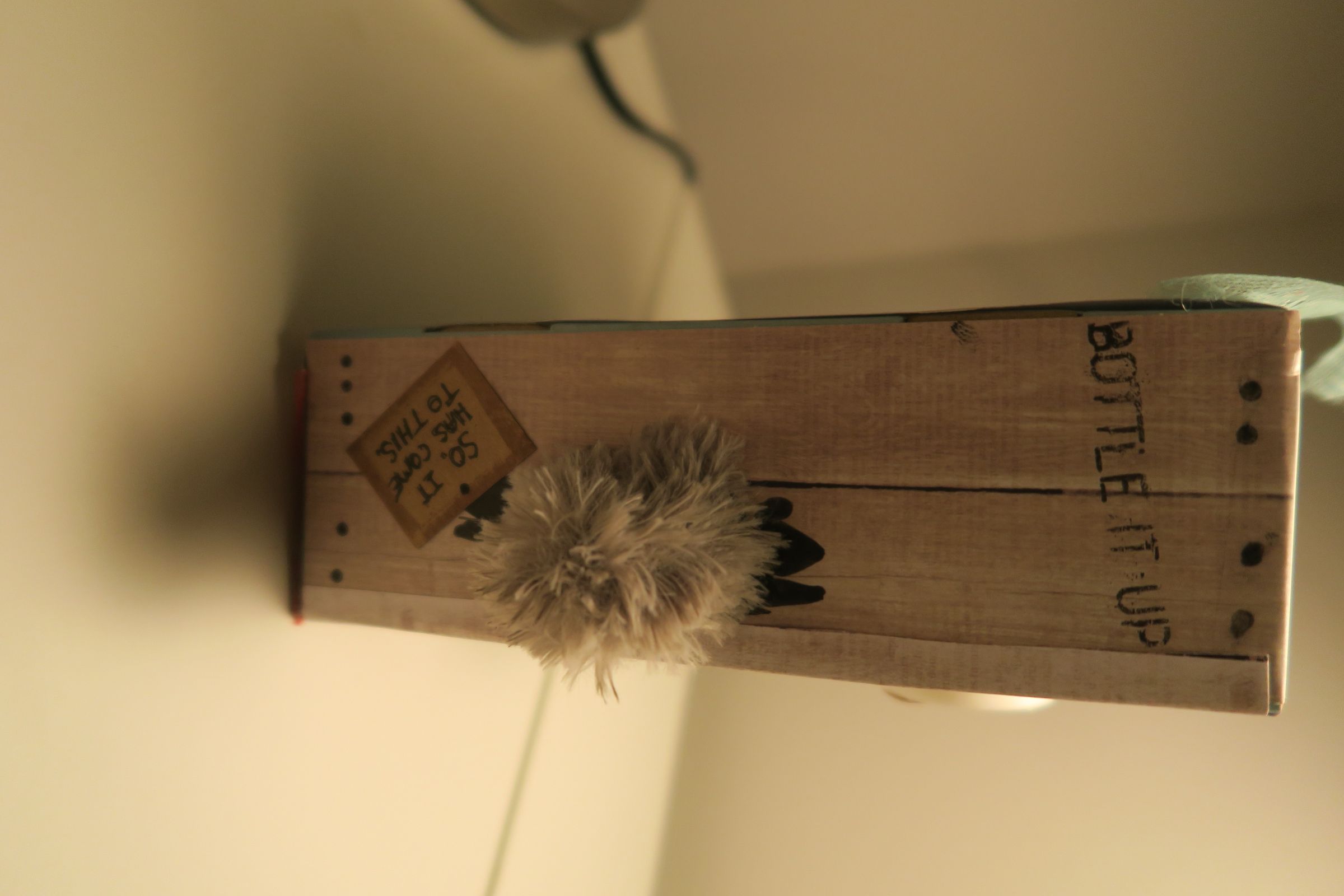 Curiosity Carnival Crates : 10 Steps (with Pictures) - Instructables