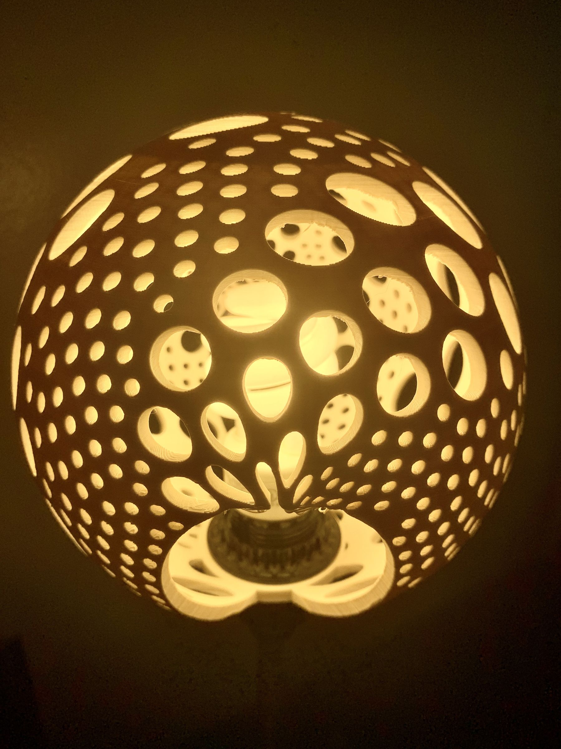 Week 3: Lamp Shade With Rhino : 5 Steps - Instructables