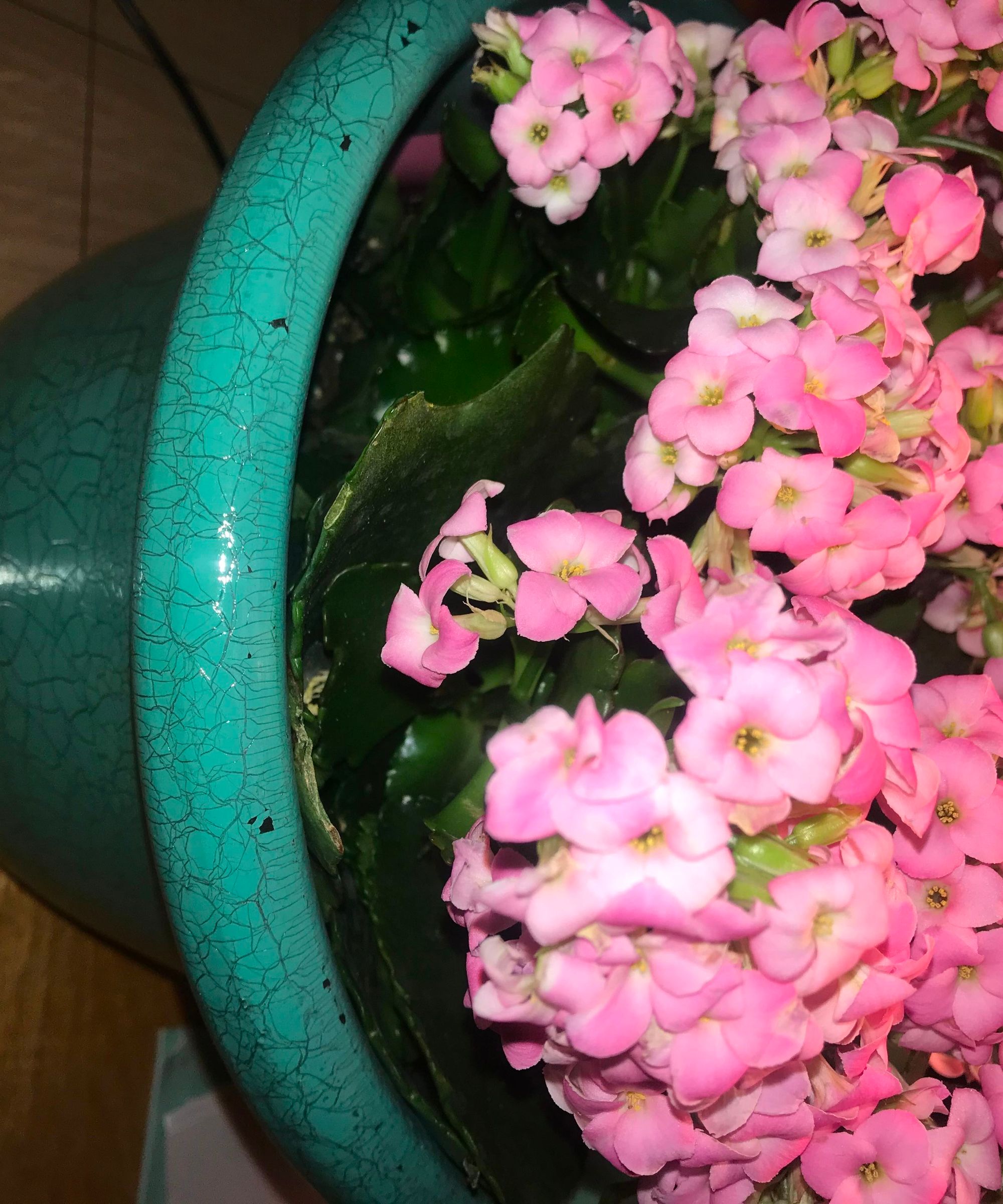 Plant Monitor Using ESP32 Thing and Blynk : 5 Steps - Instructables