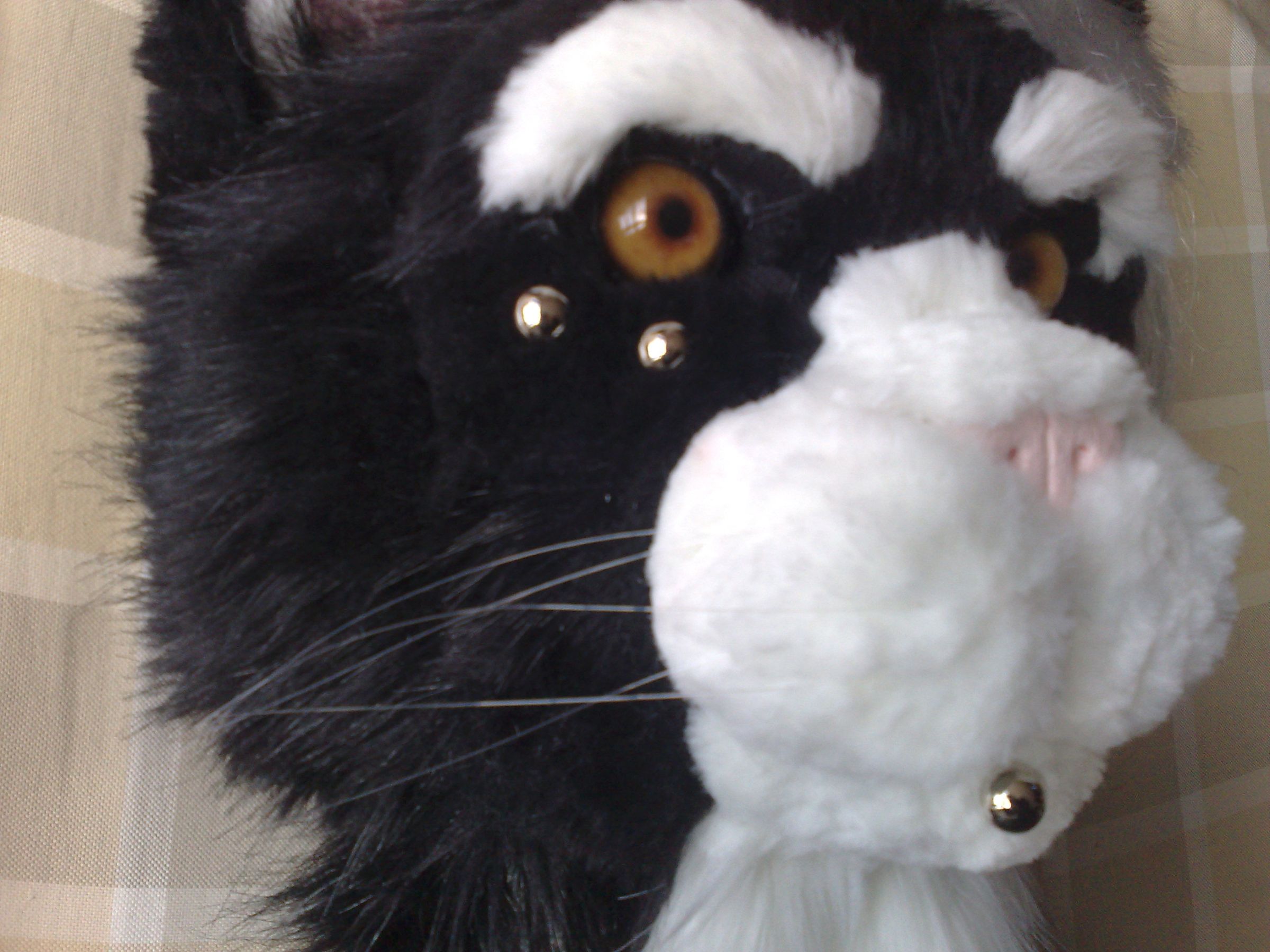 Making an Animal Mascot Head (Fursuit) : 9 Steps - Instructables