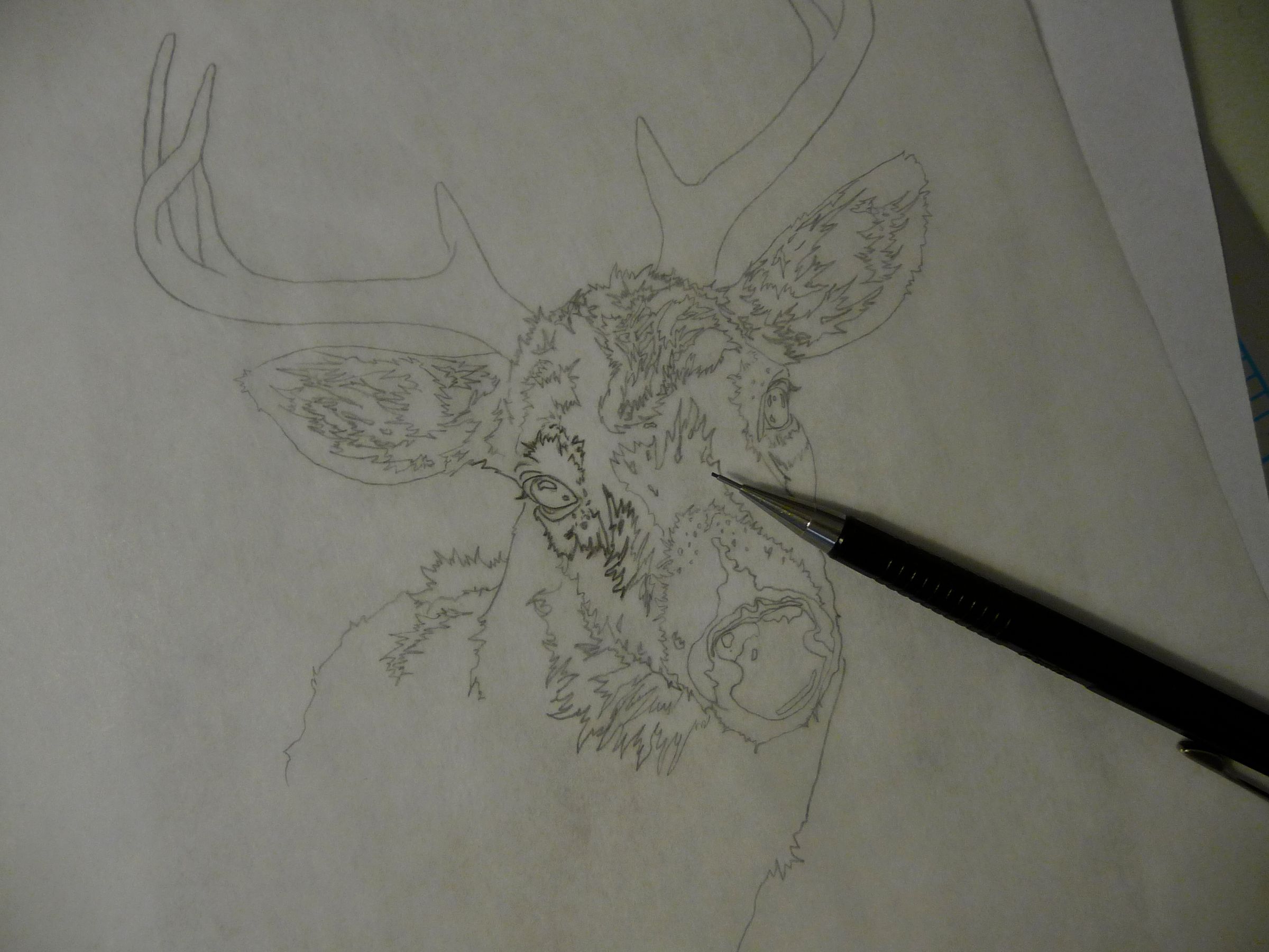 3D Layered Paper : 5 Steps (with Pictures) - Instructables