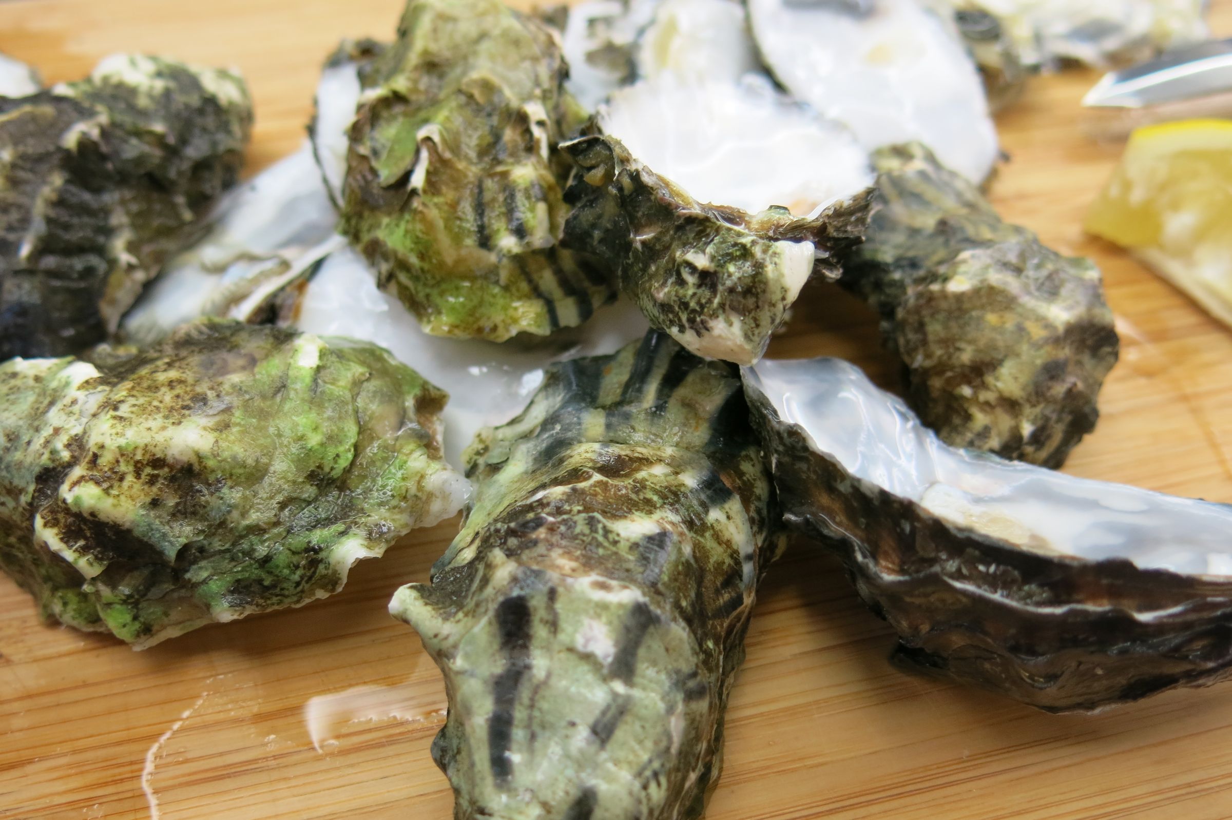 How to Open Oysters : 4 Steps (with Pictures) - Instructables