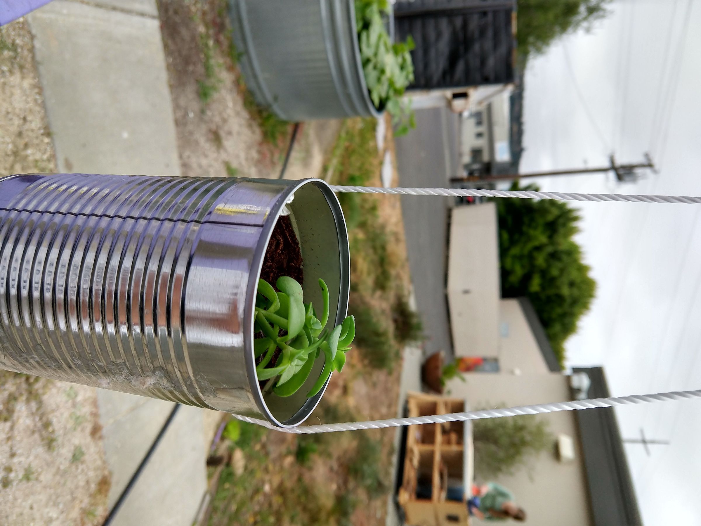 How to Make a Coffee Can Planter! : 6 Steps - Instructables