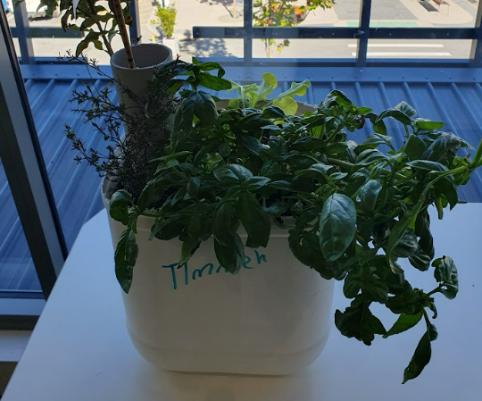 How to Make a Self Watering Planter Box. : 5 Steps - Instructables