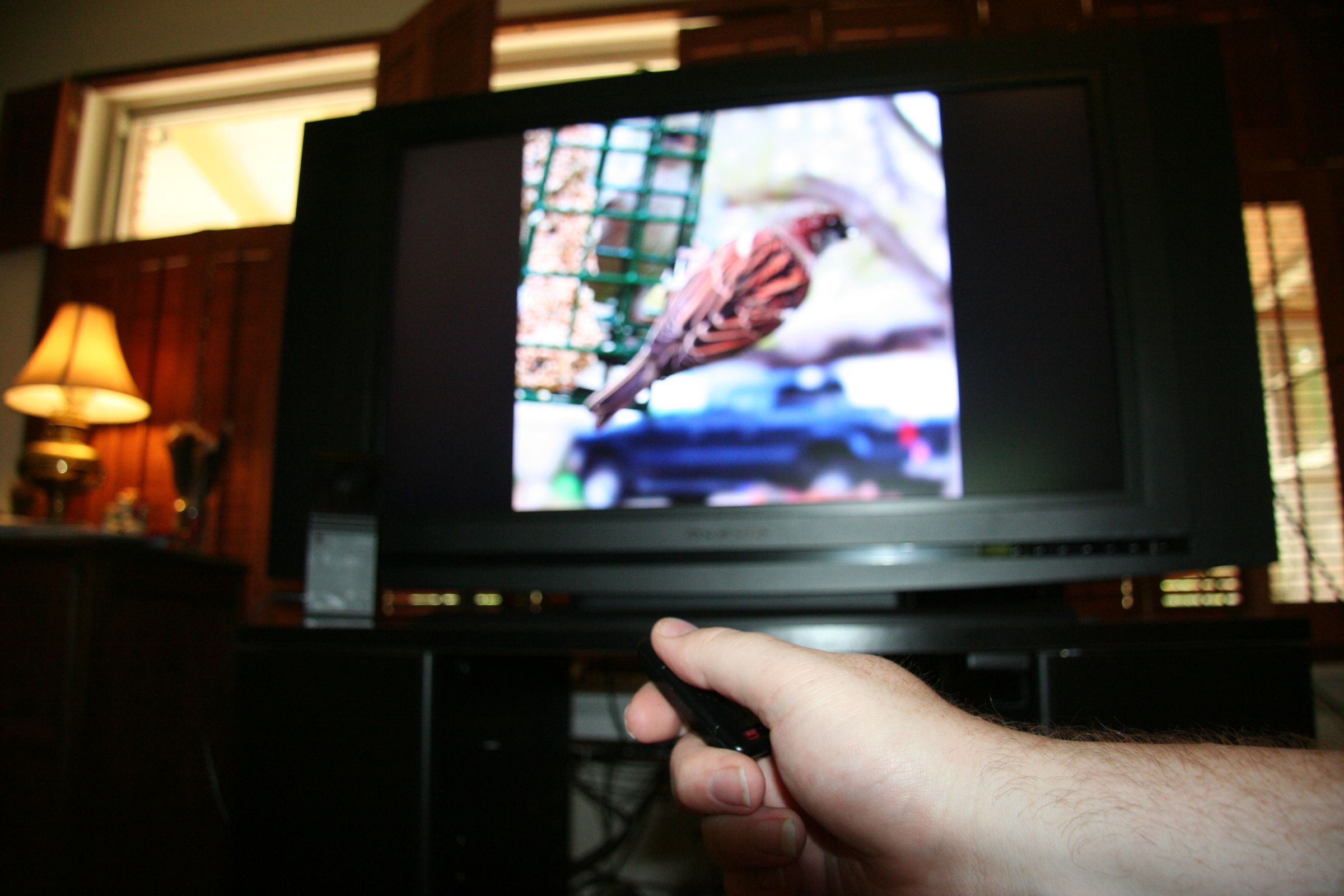 Remote-control Nature Photography : 4 Steps - Instructables