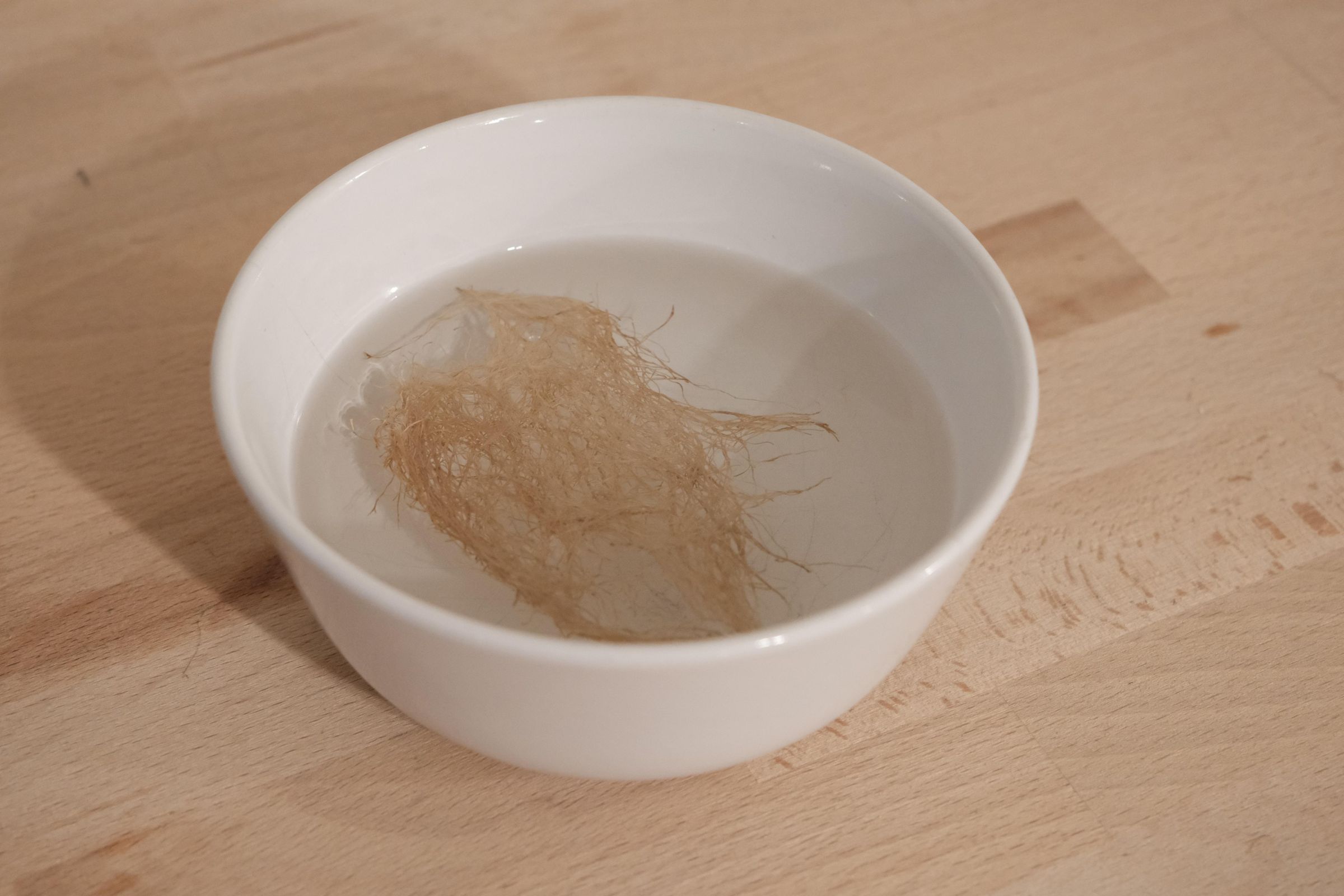 Make Wheatgrass Root Mats : 6 Steps (with Pictures) - Instructables