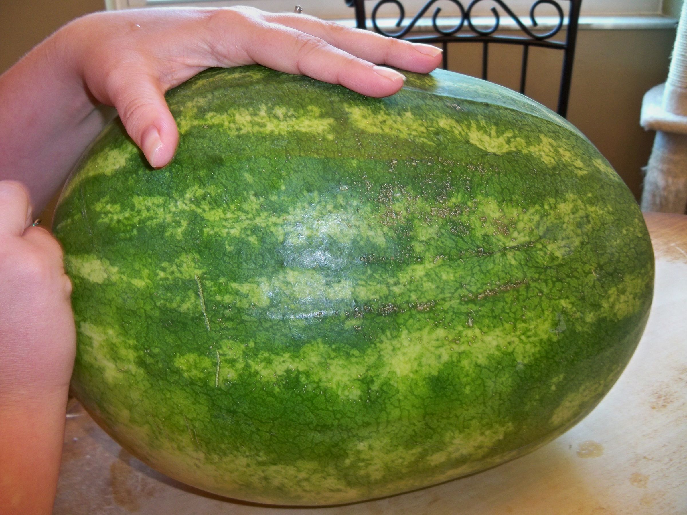 Watermelon Fruit Basket : 6 Steps (with Pictures) - Instructables