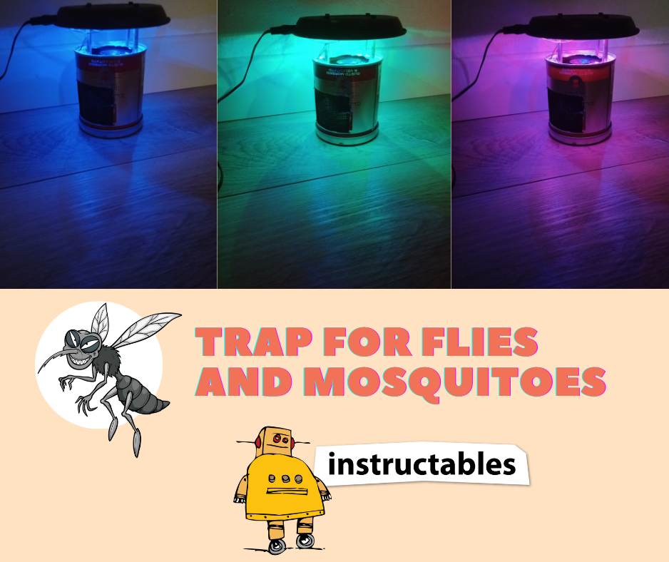 Trap for Flies and Mosquitoes and Decorate the Garden : 7 Steps (with ...