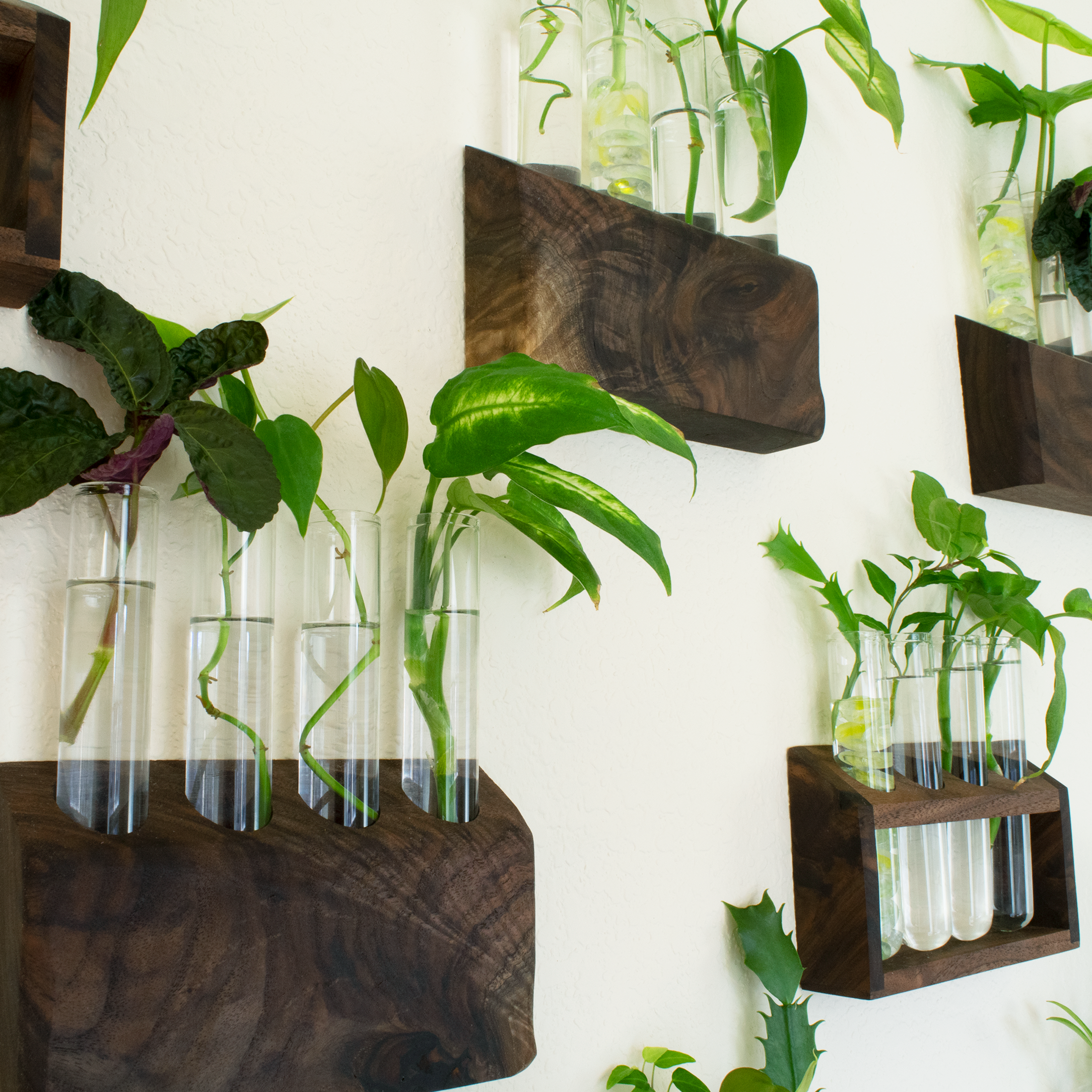 Propagation Station (3 Designs) : 10 Steps (with Pictures) - Instructables