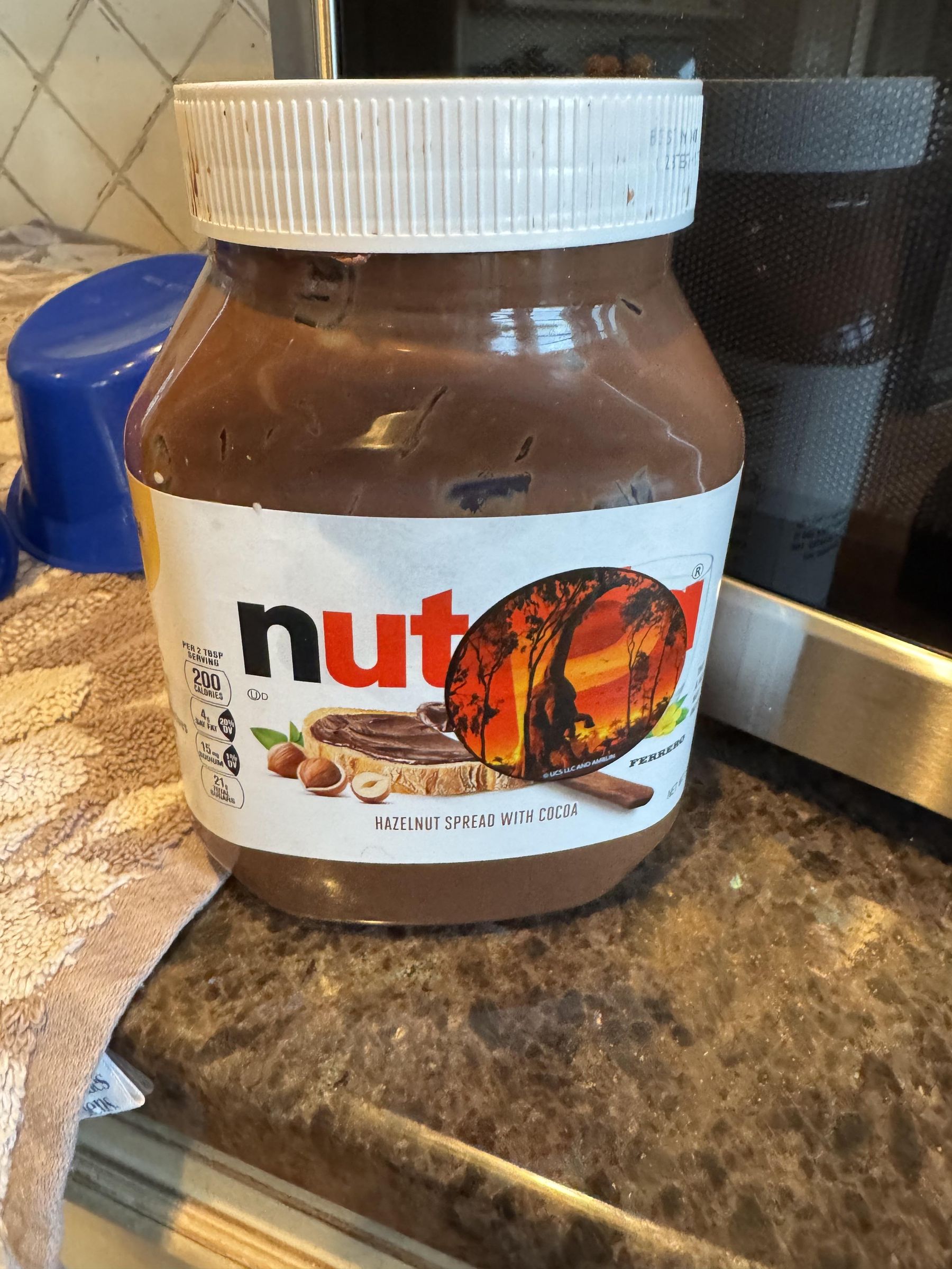 Toasted Nutella Sandwich : 6 Steps - Instructables