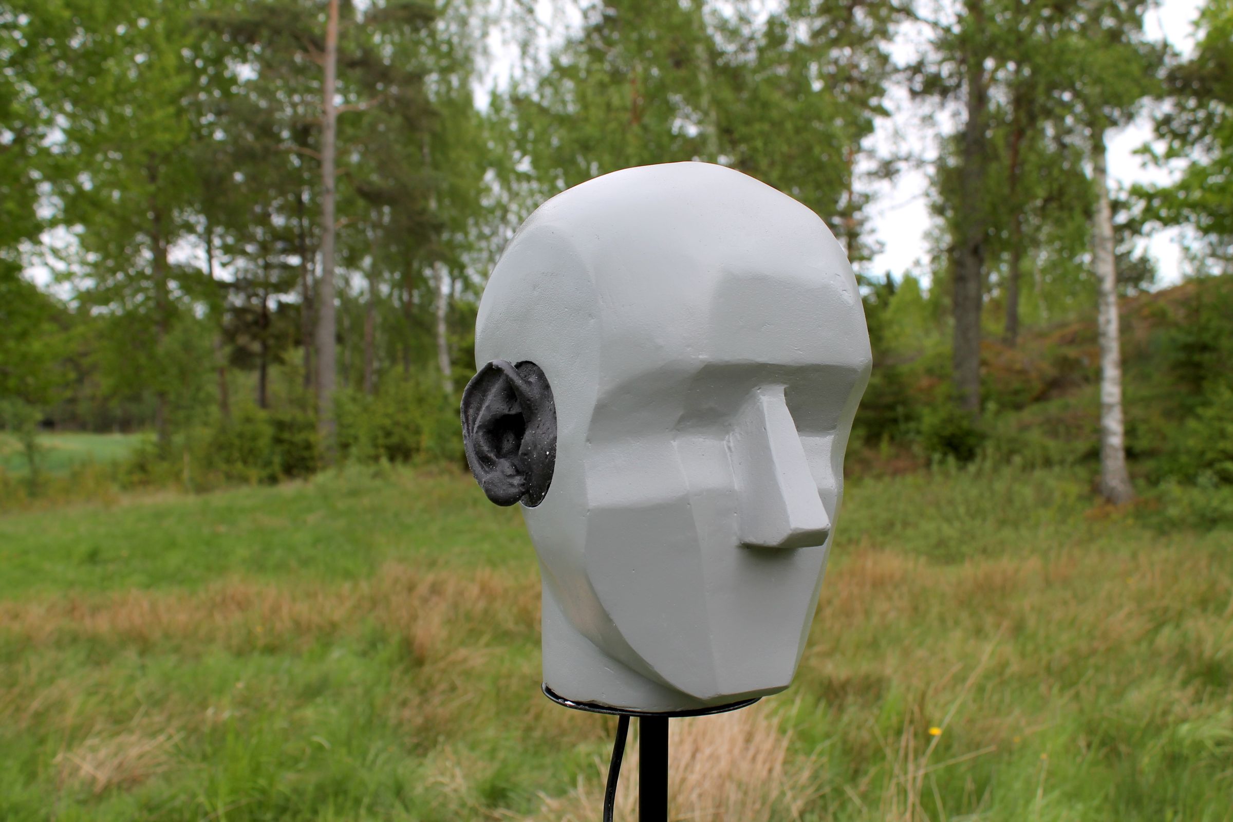 Binaural Head for Stereo Recording : 8 Steps (with Pictures ...