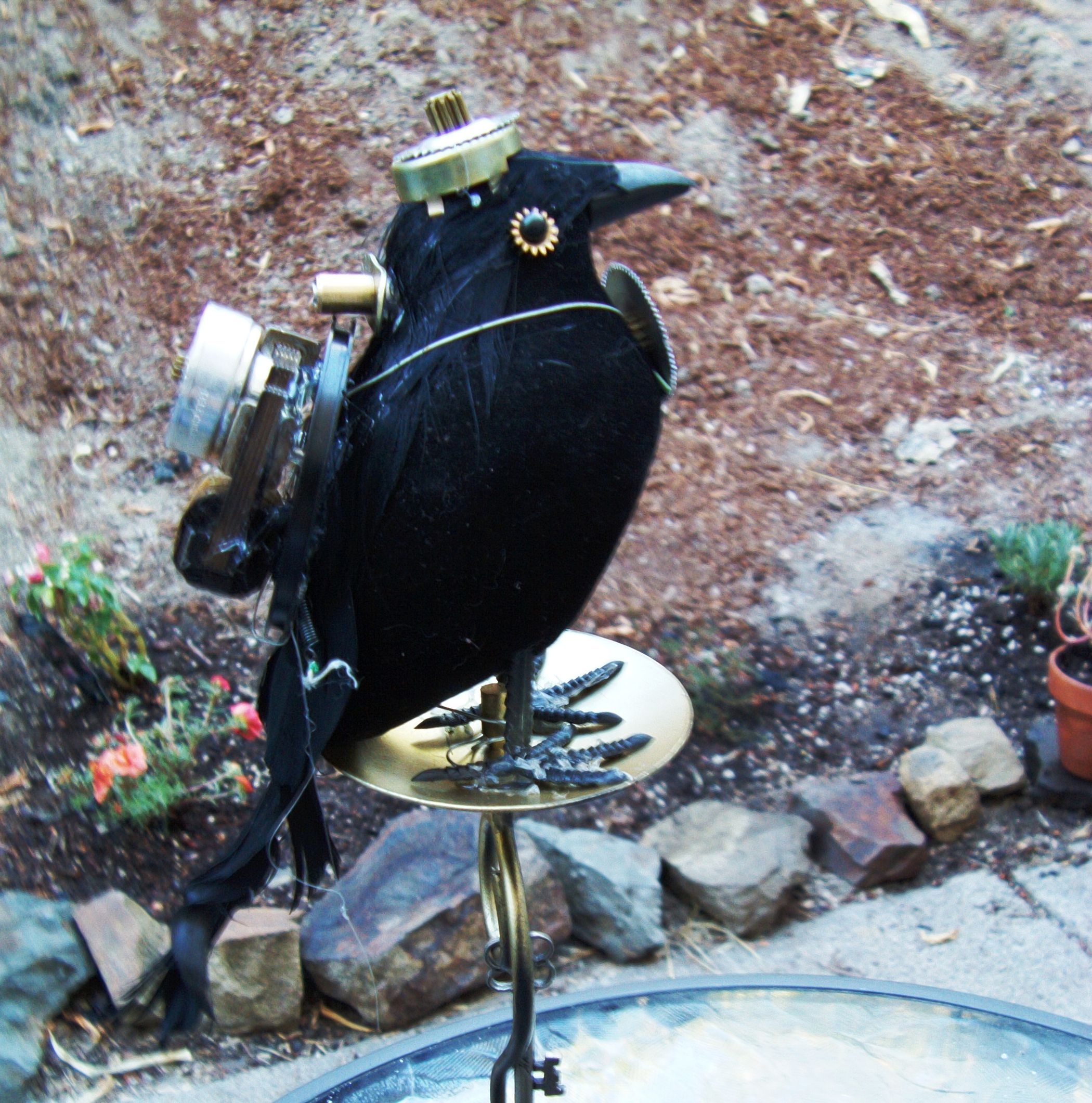 Crow Keyguard : 5 Steps - Instructables