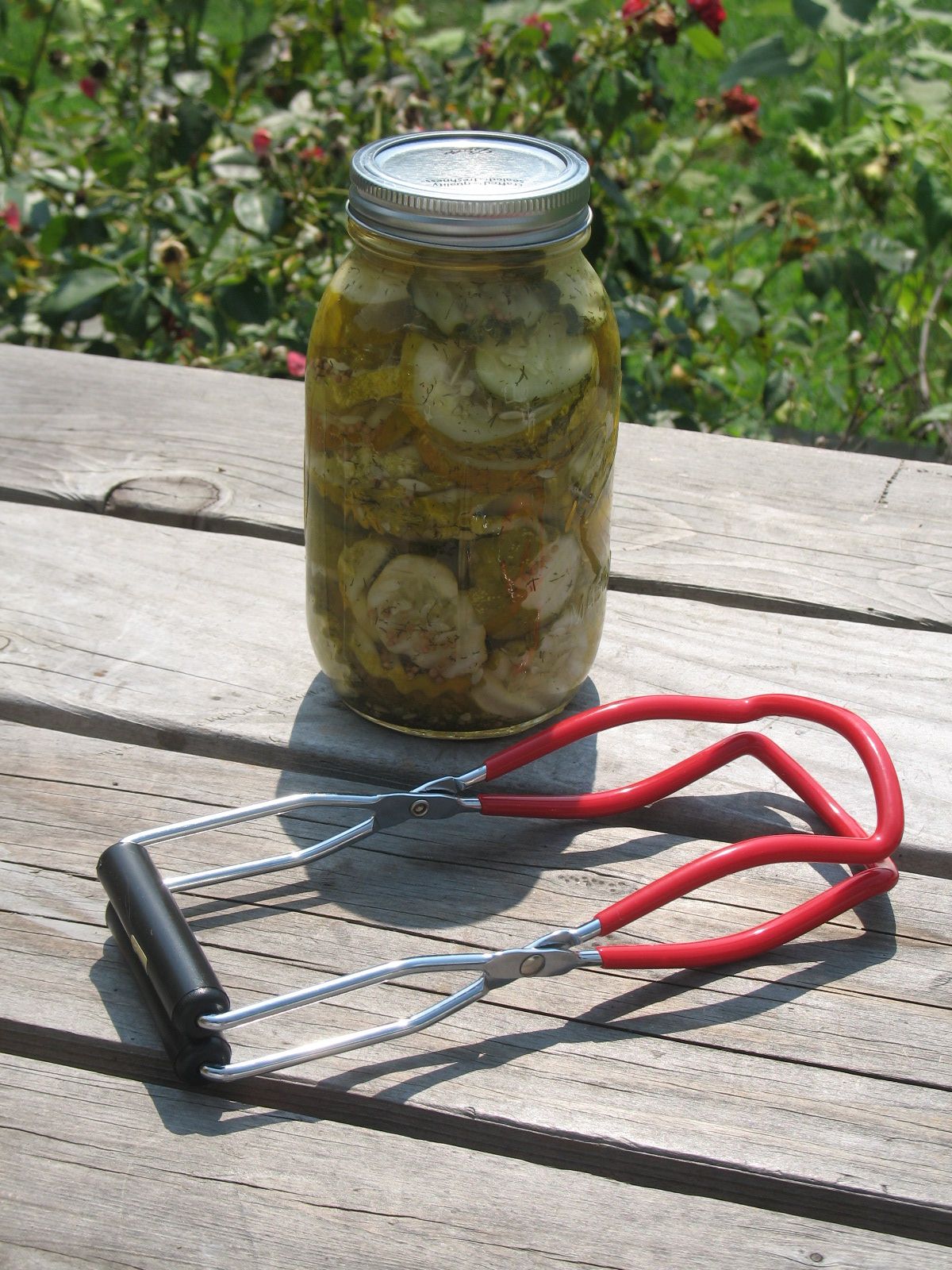 Trial and Error Dill Pickles : 5 Steps (with Pictures) - Instructables