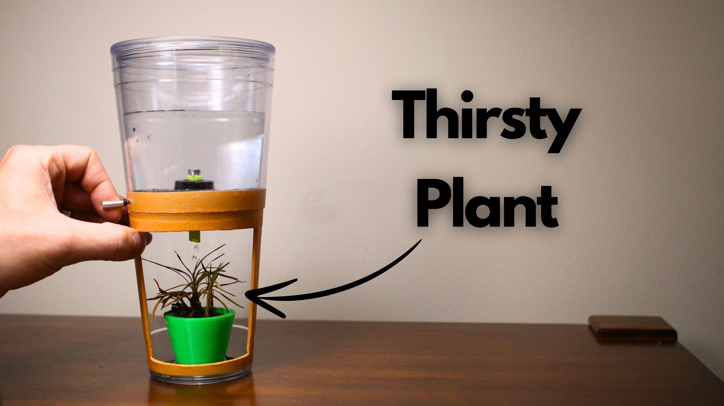 Plant Watering Cup : 9 Steps (with Pictures) - Instructables