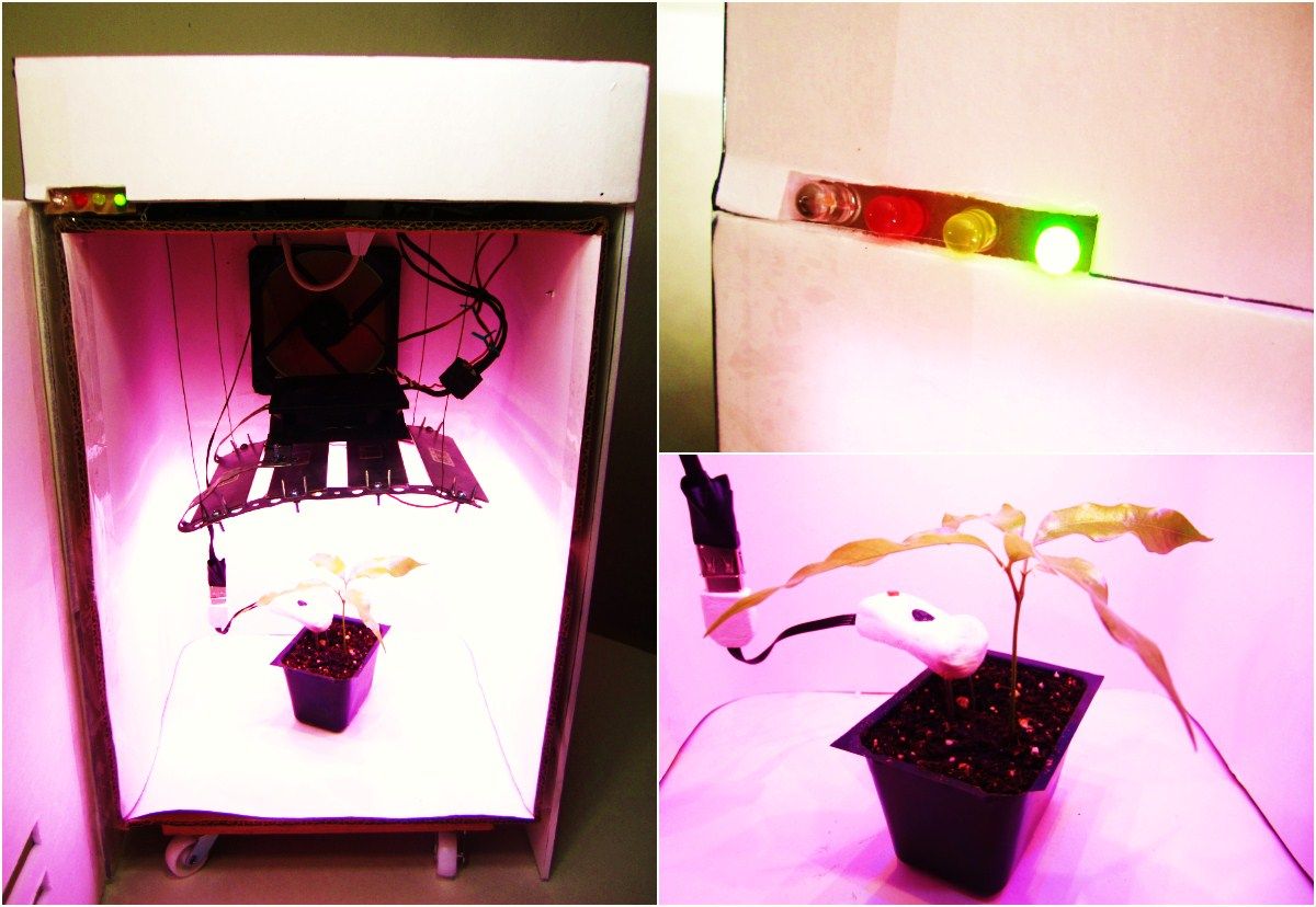 The Plant Box : 6 Steps - Instructables