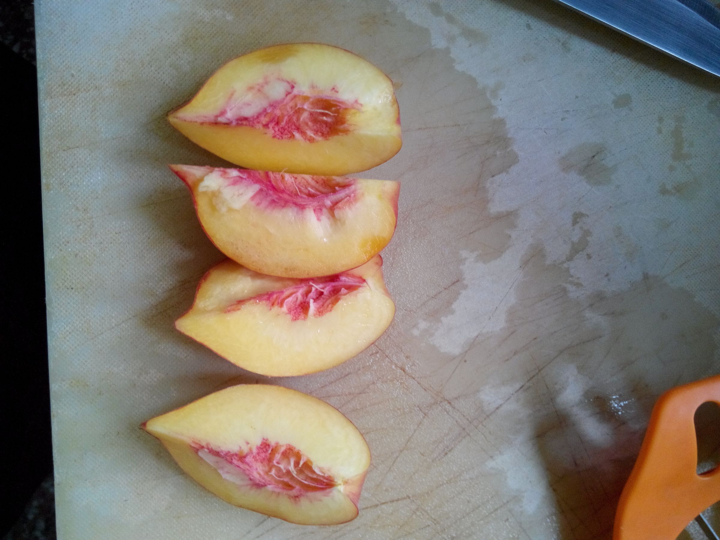 Pakistani Fruit Chaat (salad) With Chaat Masala ( Recipe Included) : 8 ...