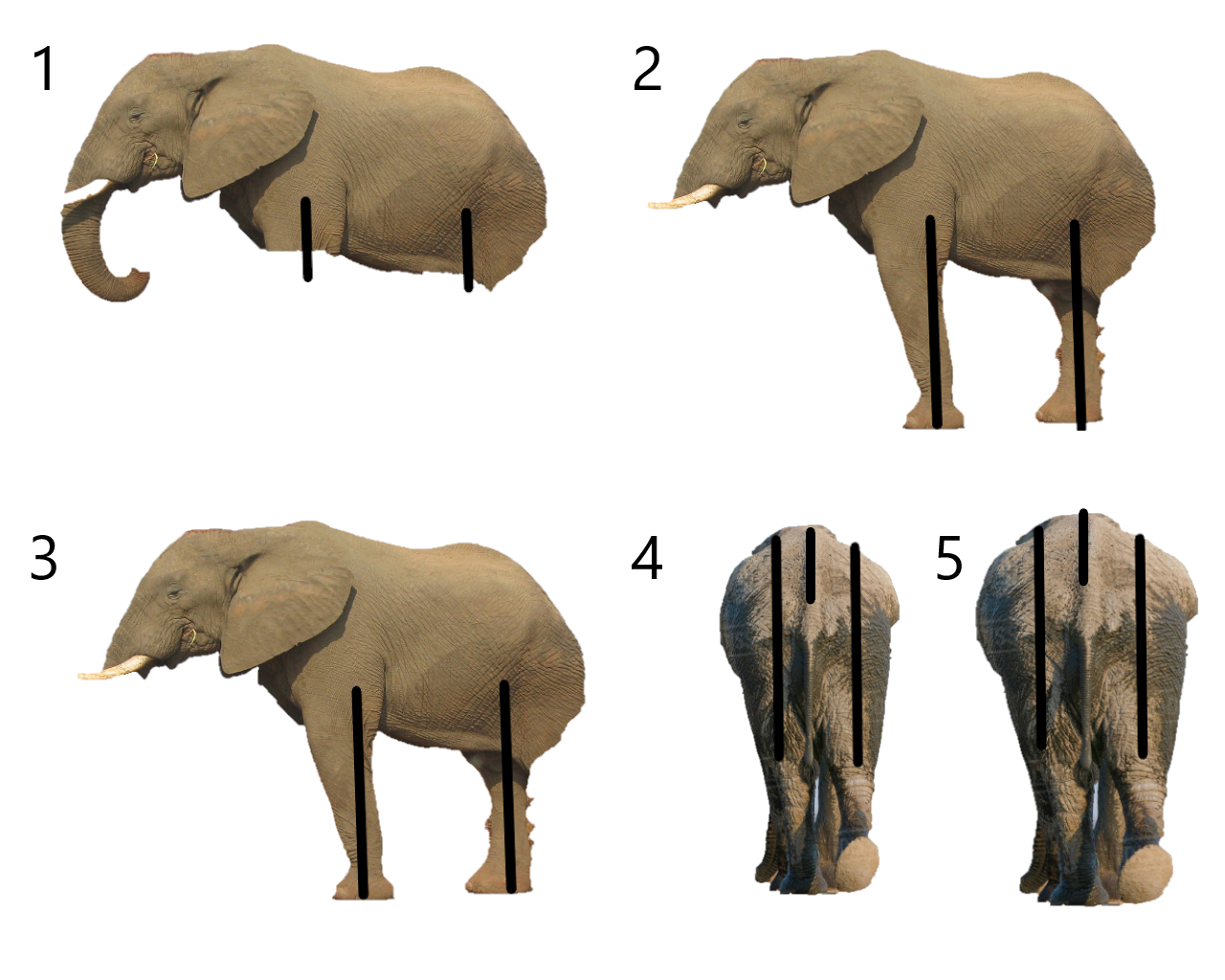 Making Cardboard STEM Model Kits From Trash for After School Programs ...