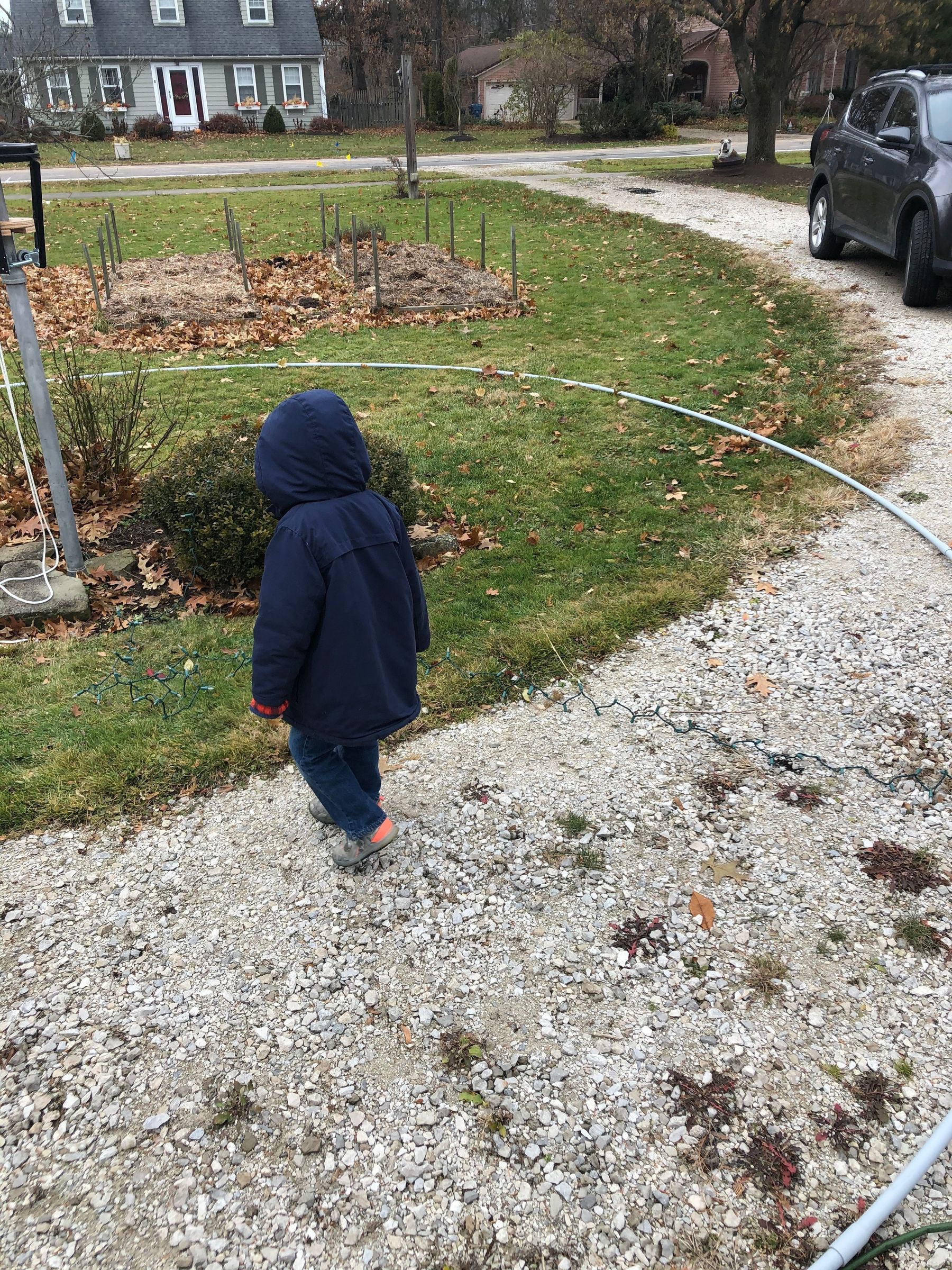 Flag Pole Mega Tree : 7 Steps (with Pictures) - Instructables