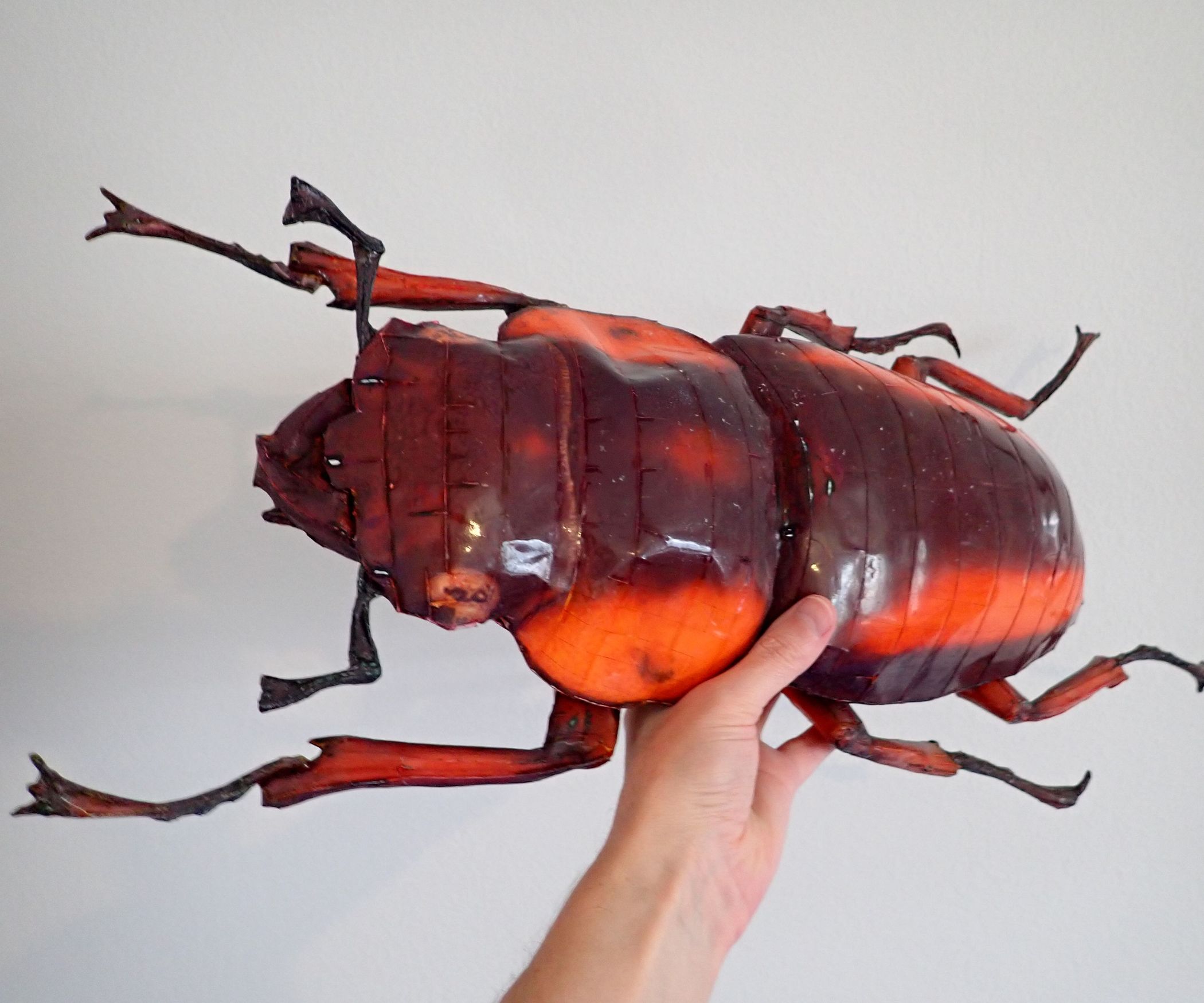 Build an Accurate Animal Paper Model : 5 Steps (with Pictures ...