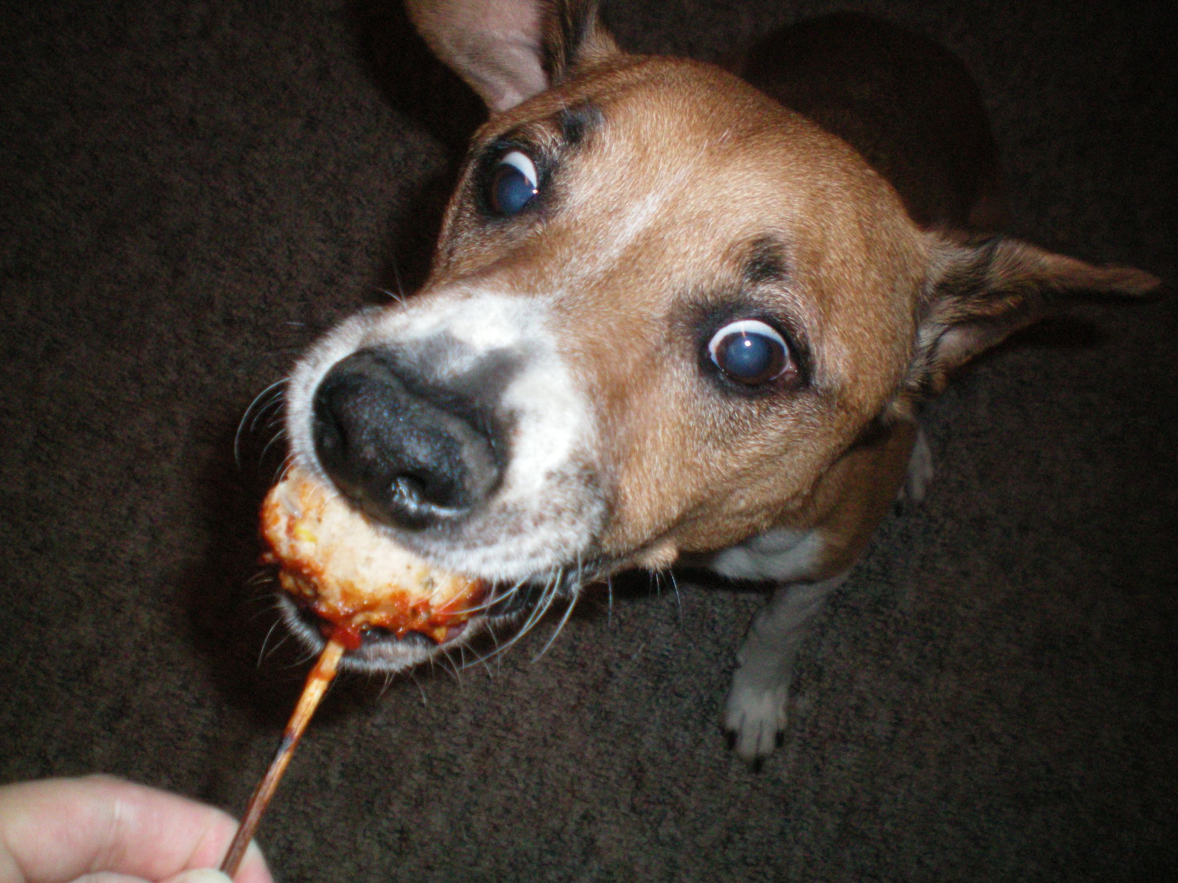 Meatloaf on a Stick : 5 Steps (with Pictures) - Instructables