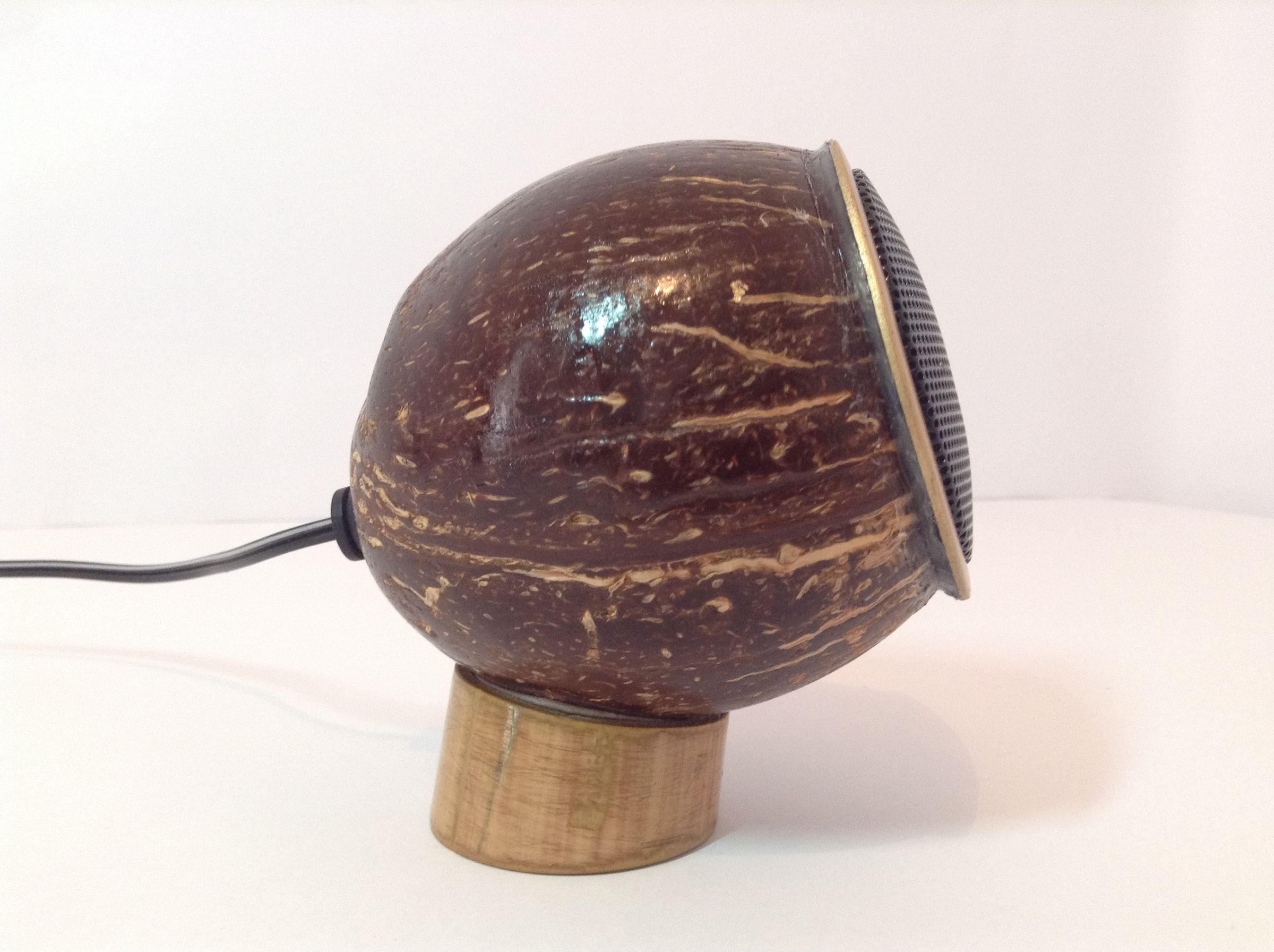 Coconut Speaker. : 4 Steps (with Pictures) - Instructables