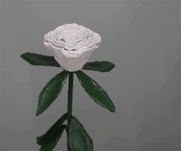 The Color Changing Rose : 9 Steps (with Pictures) - Instructables