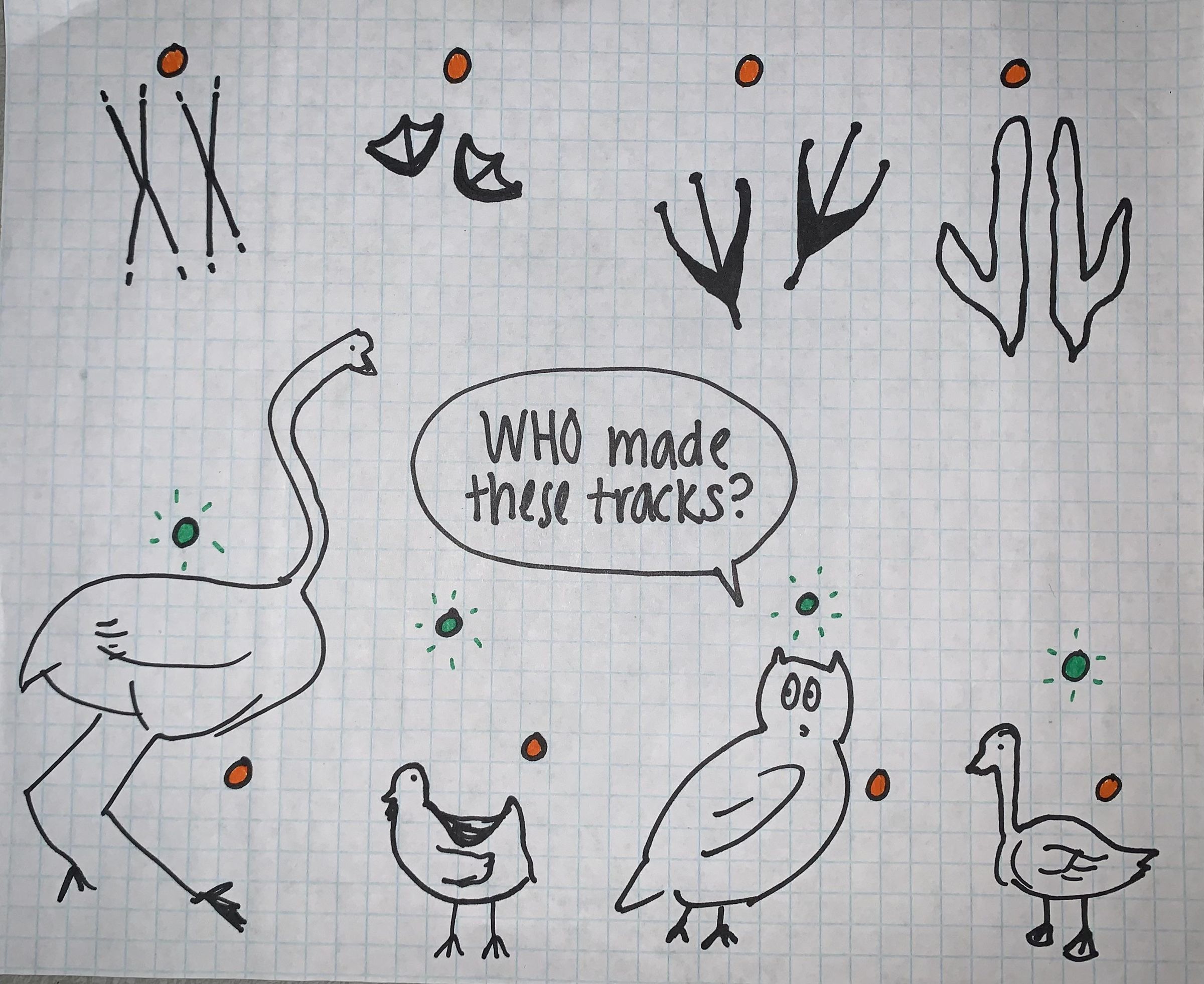 LED Quizboards : 5 Steps (with Pictures) - Instructables