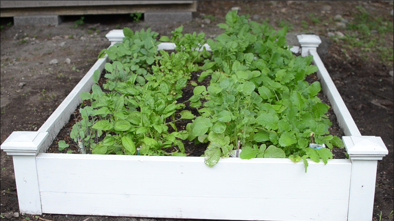 Easy DIY Raised Garden Beds : 7 Steps (with Pictures) - Instructables